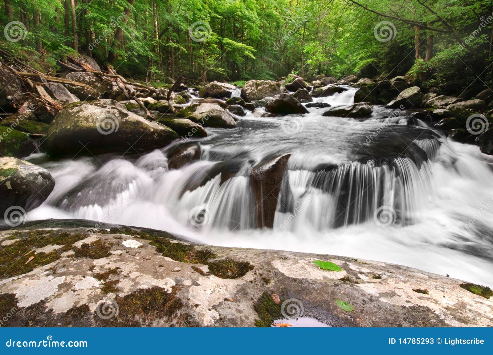 Smoky Mountain Stream stock image. Image of blueridge - 14785293
