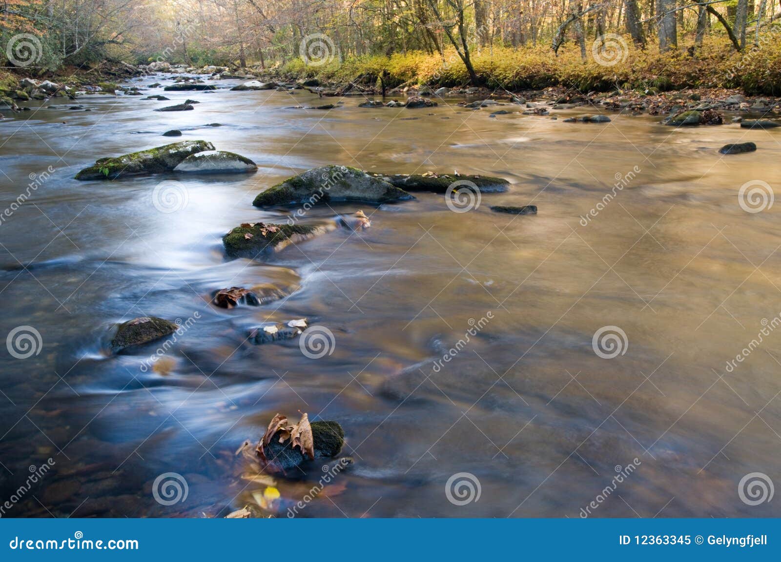 Smoky Mountains River in Fall Stock Image - Image of east, tennessee ...