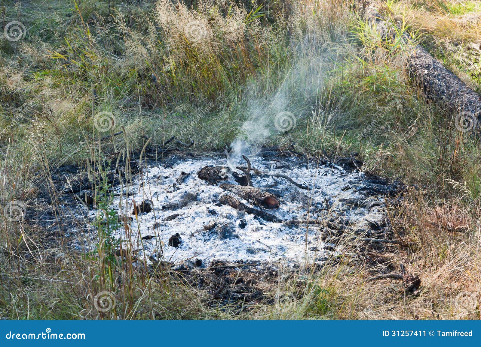 Smoldering Camp Fire stock image. Image of burning, cleanup - 31257411