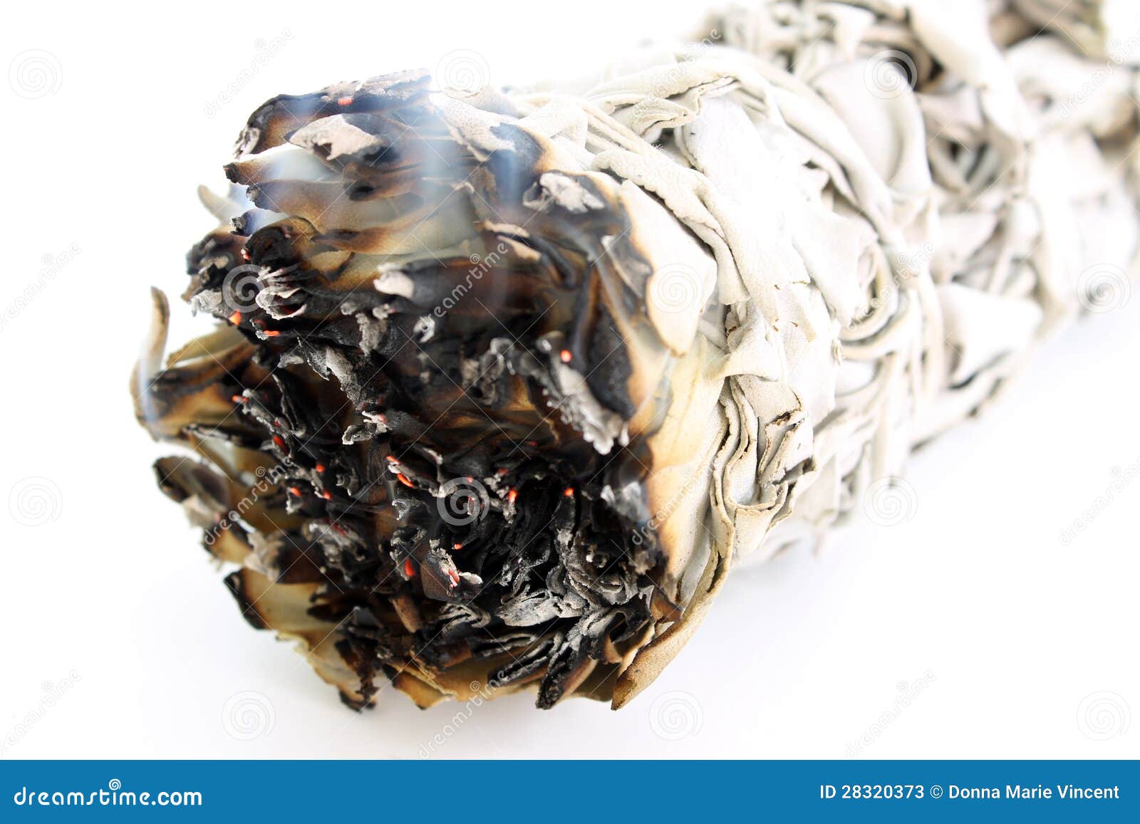 Smoldering Ceremonial White Sage Smudge Stick Stock Image - Image of ...