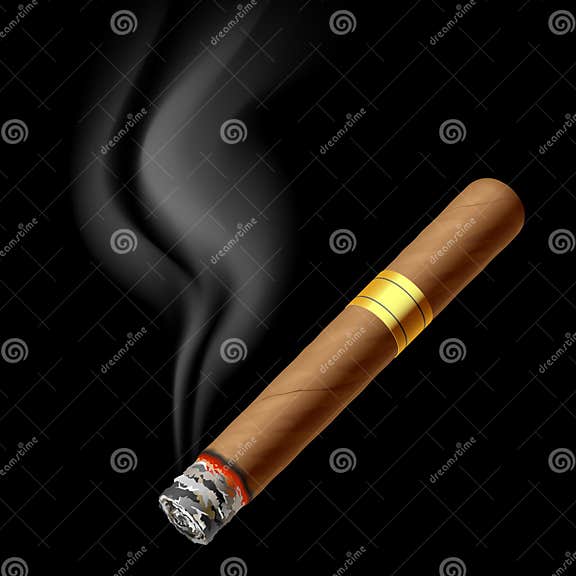 Smoldering cigar stock vector. Illustration of luxury - 14436102