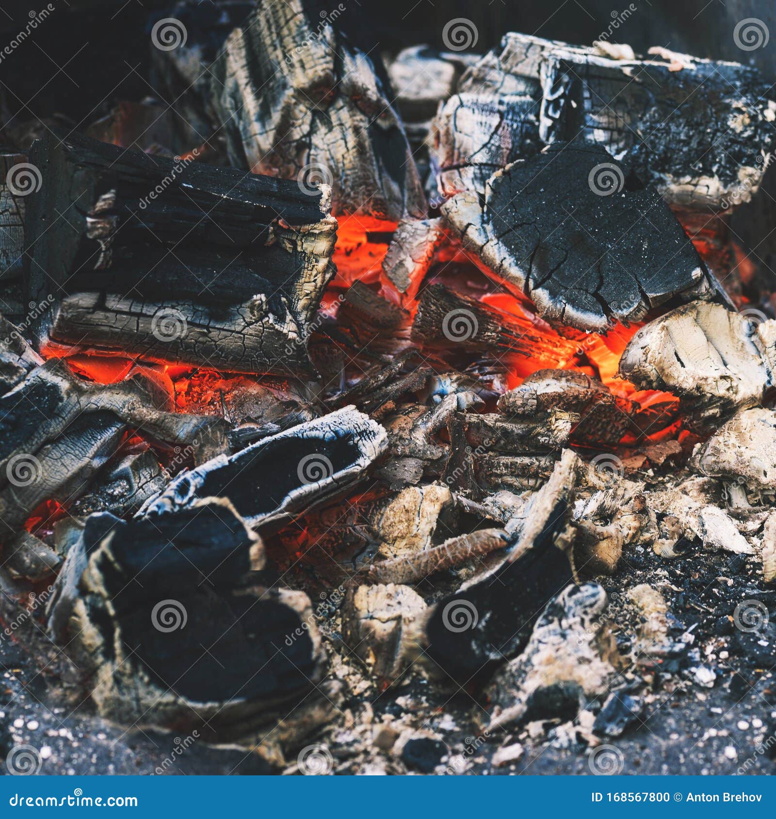Smoldering Coal Close-up. Heat Source Remains of a Bonfire Stock Photo ...