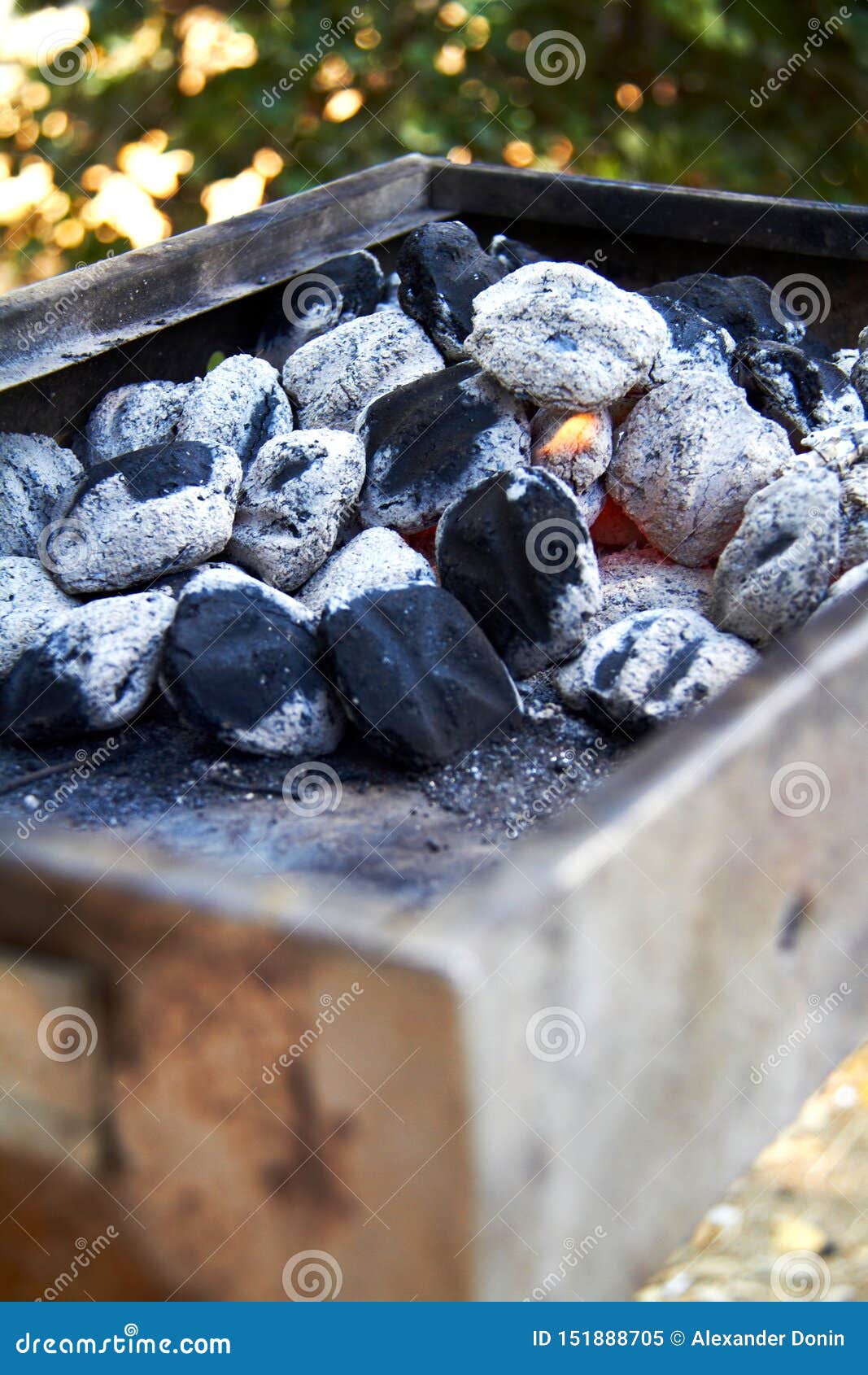 Smoldering Coals Lie on the Grill, Ready for Roasting Stock Image ...
