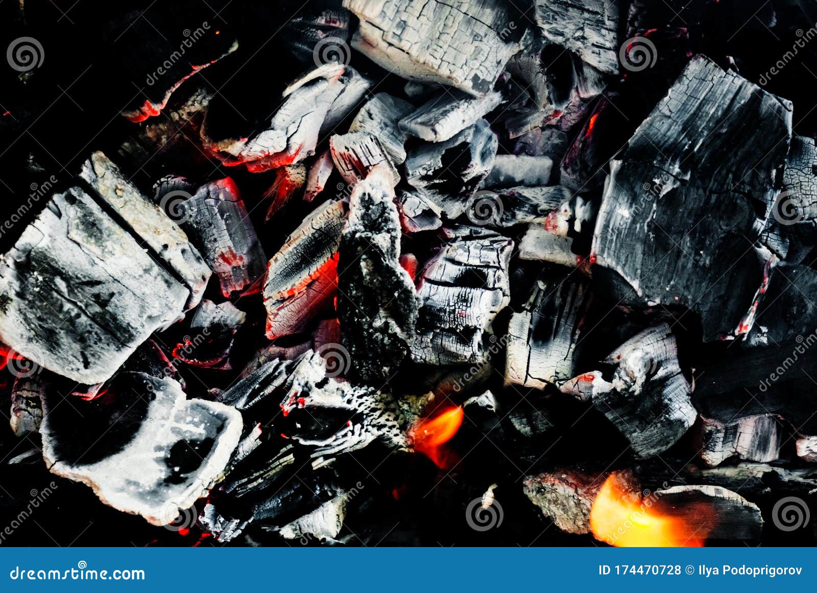 Smoldering Embers Of Fire, Live Coals, Burning Charcoal In The ...