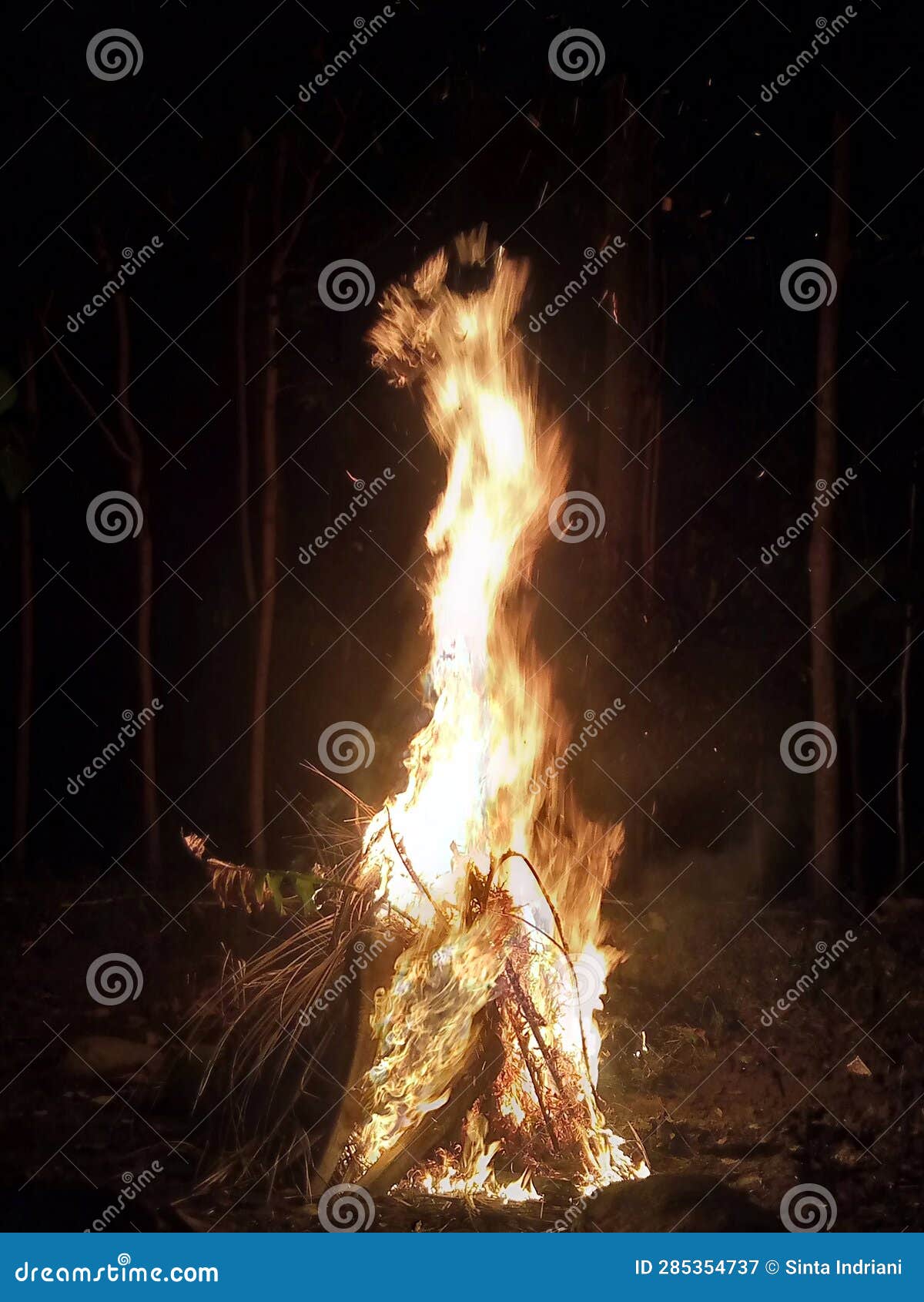 A Smoldering Fire Burns Little Branches Stock Image - Image of ...