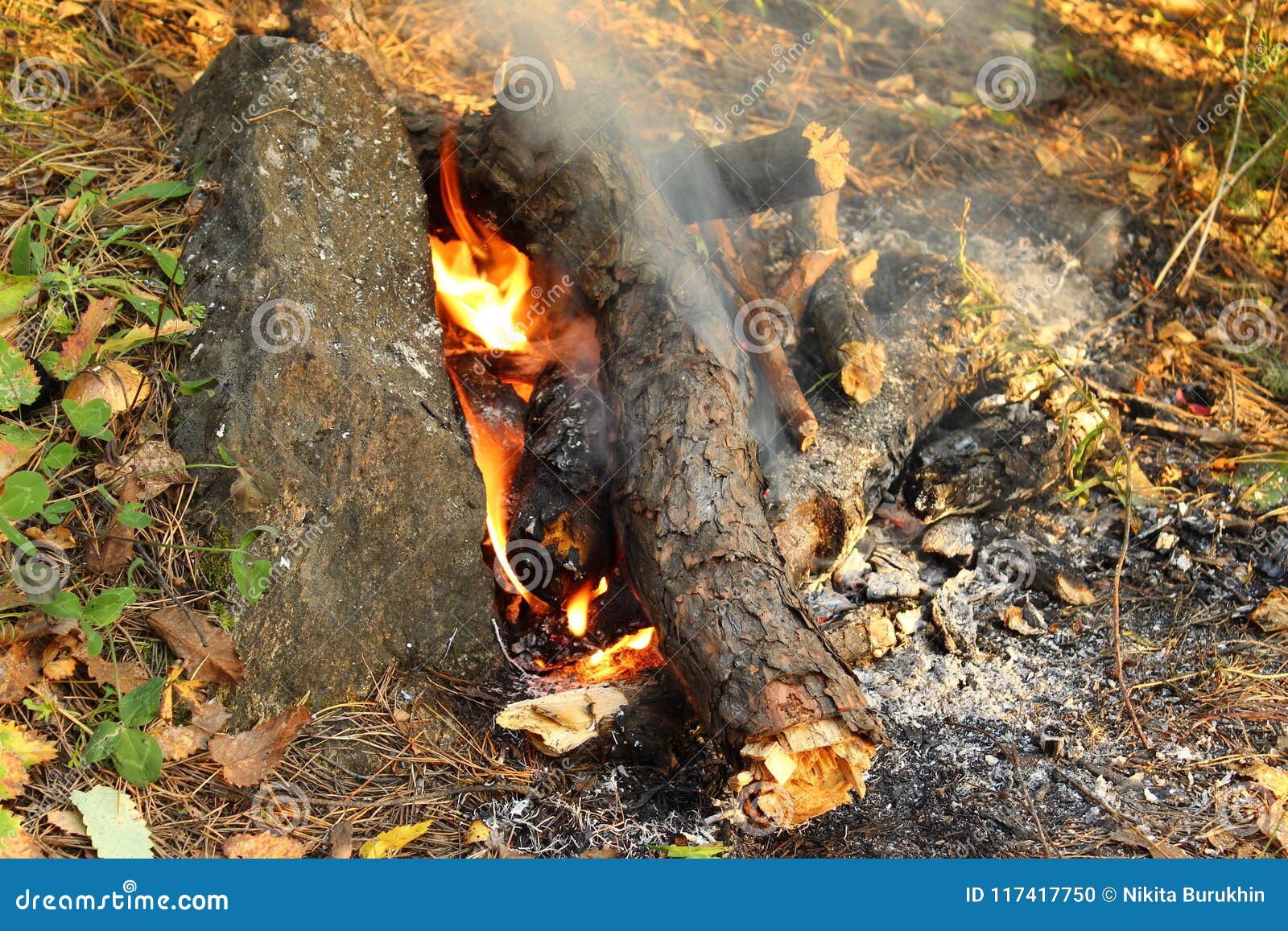 Smoldering Fire in the Forest Stock Photo - Image of heat, journey ...