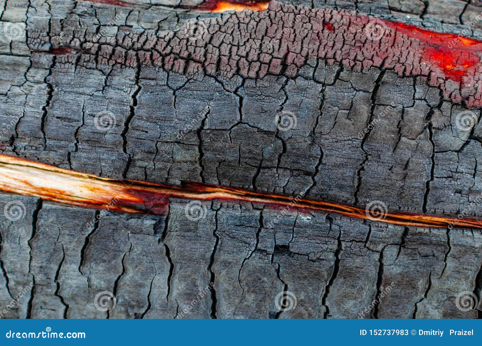 Smoldering Log Turned into Charcoal, Forest Fire, Ecology and Drought ...