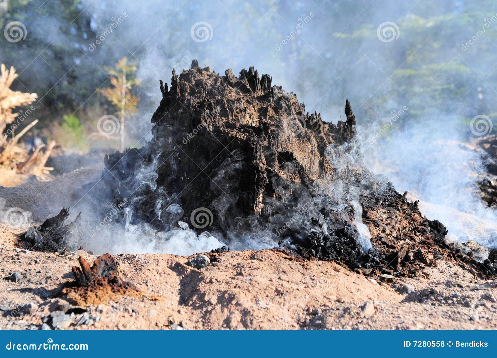 Smoldering Tree Stump stock photo. Image of heat, wildfire - 7280558