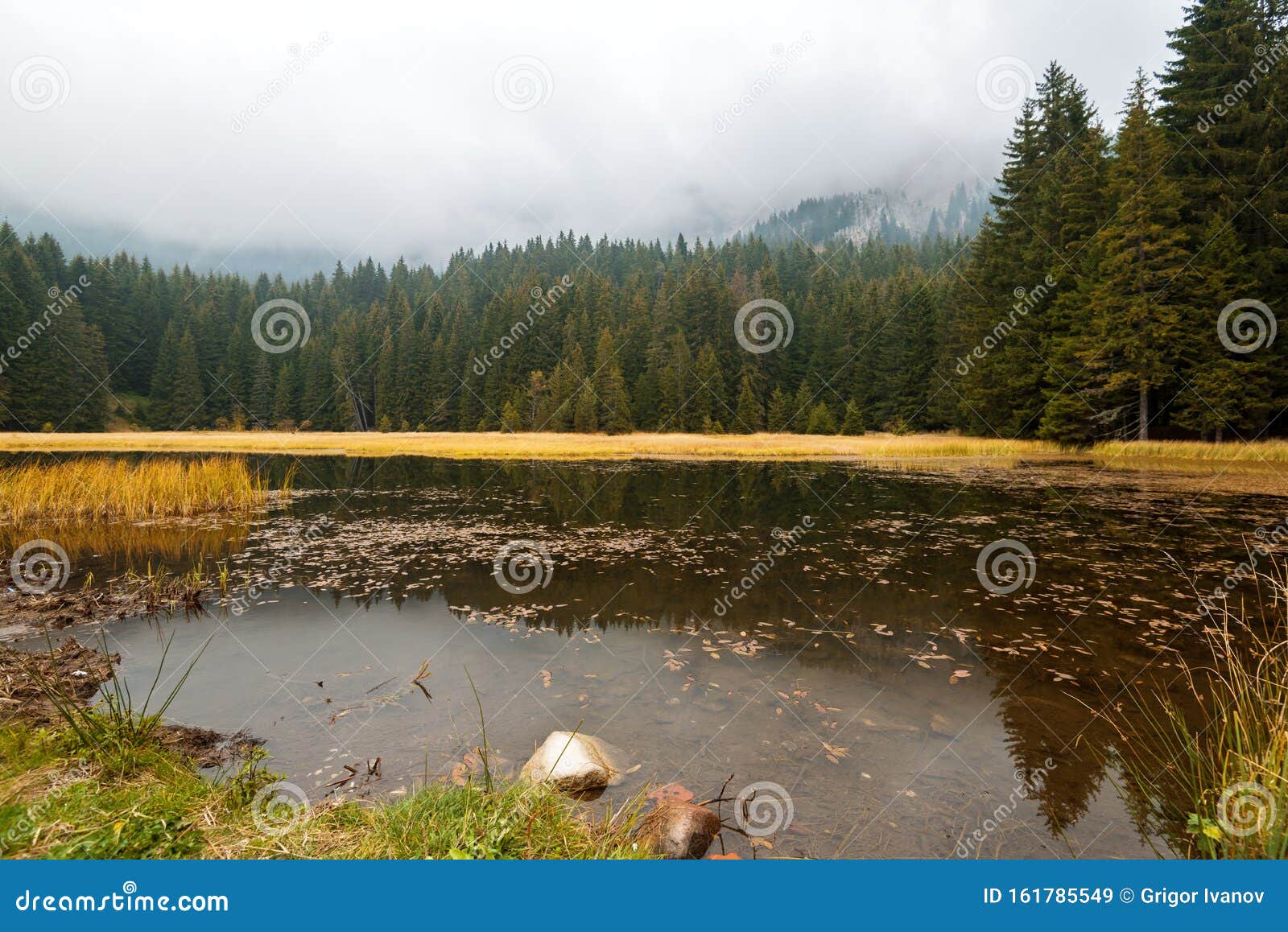 Smolyan lakes in Bulgaria stock image. Image of grass - 161785549