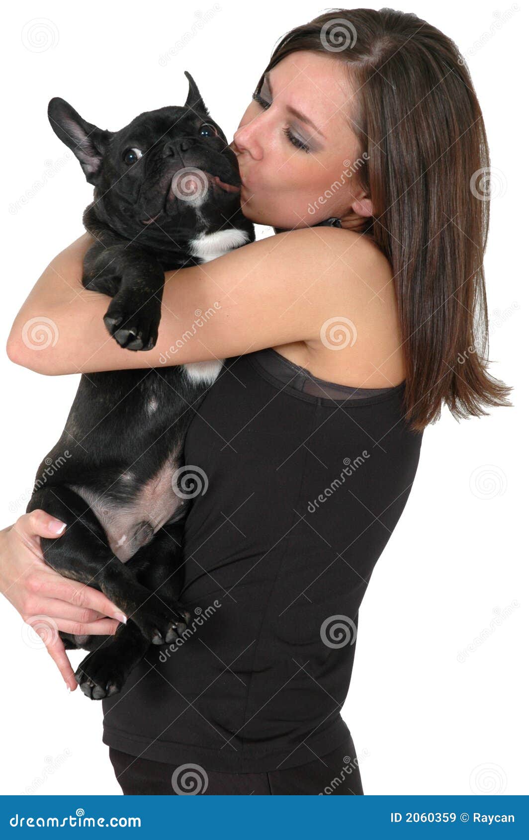 Smooch the Dog stock image. Image of haired, animal, guard - 2060359