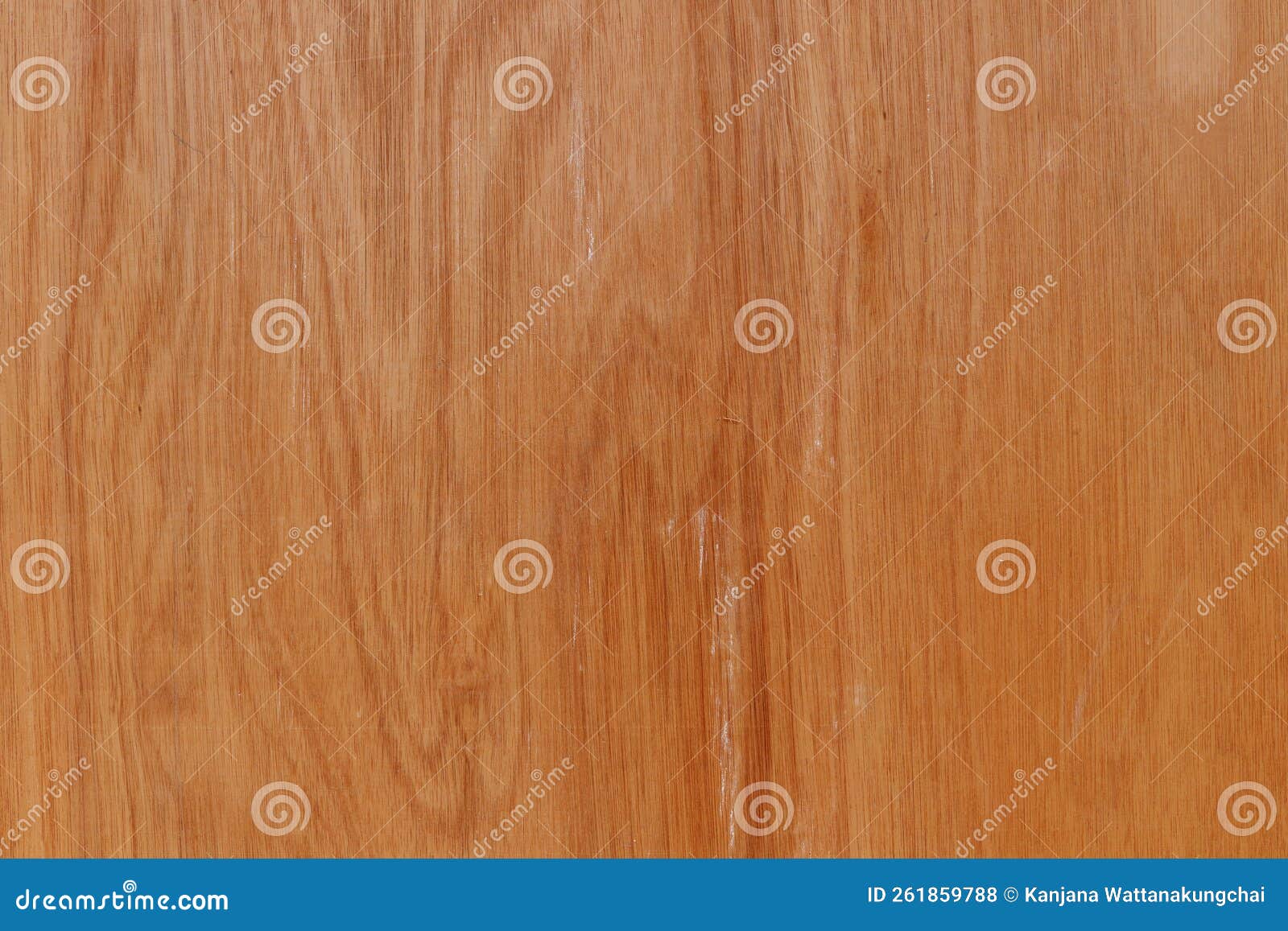 Smooth brown broad. stock photo. Image of natural, perennial - 261859788