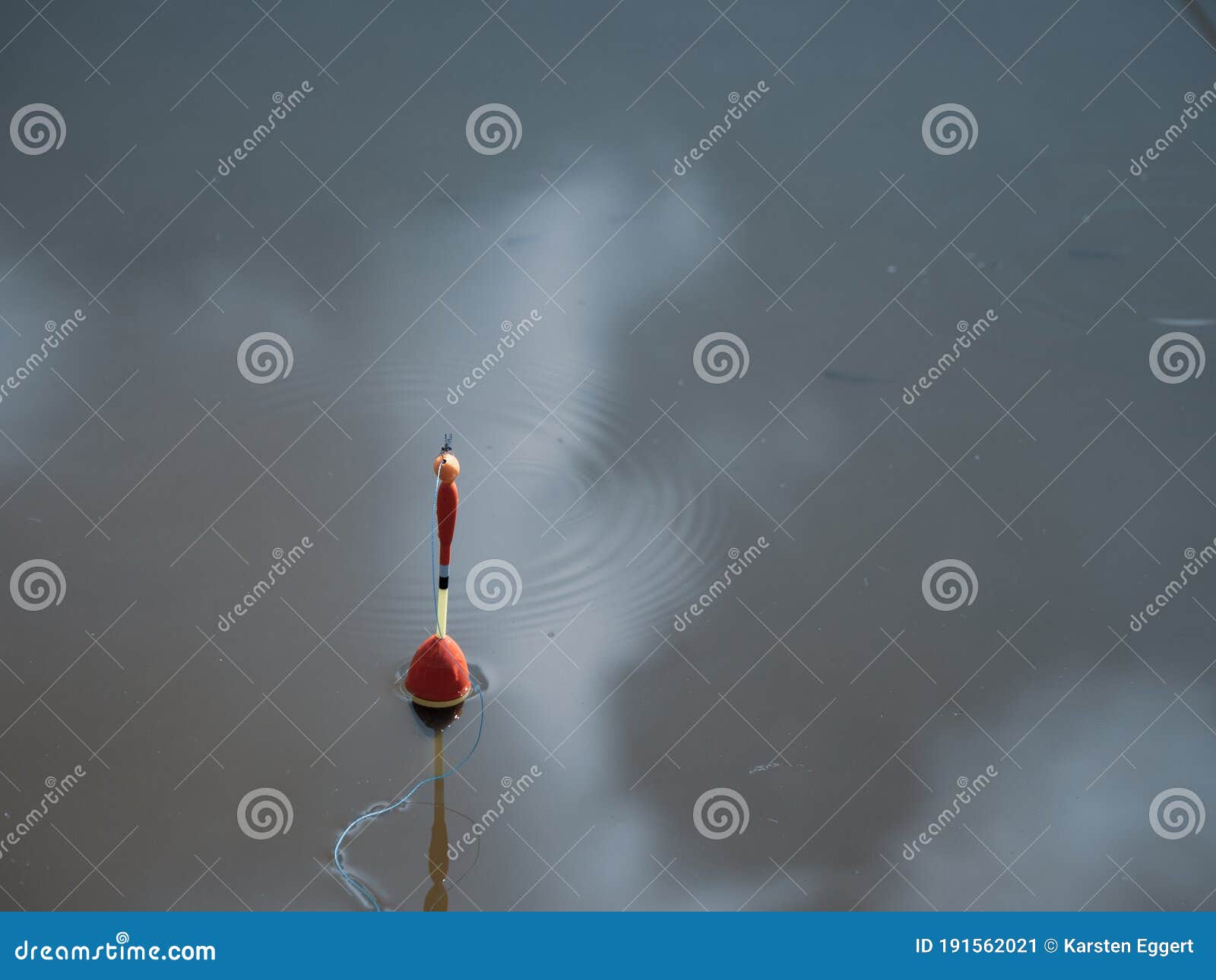 In a Smooth Calm Water Swims a Fishing Pose Stock Image - Image of cute ...