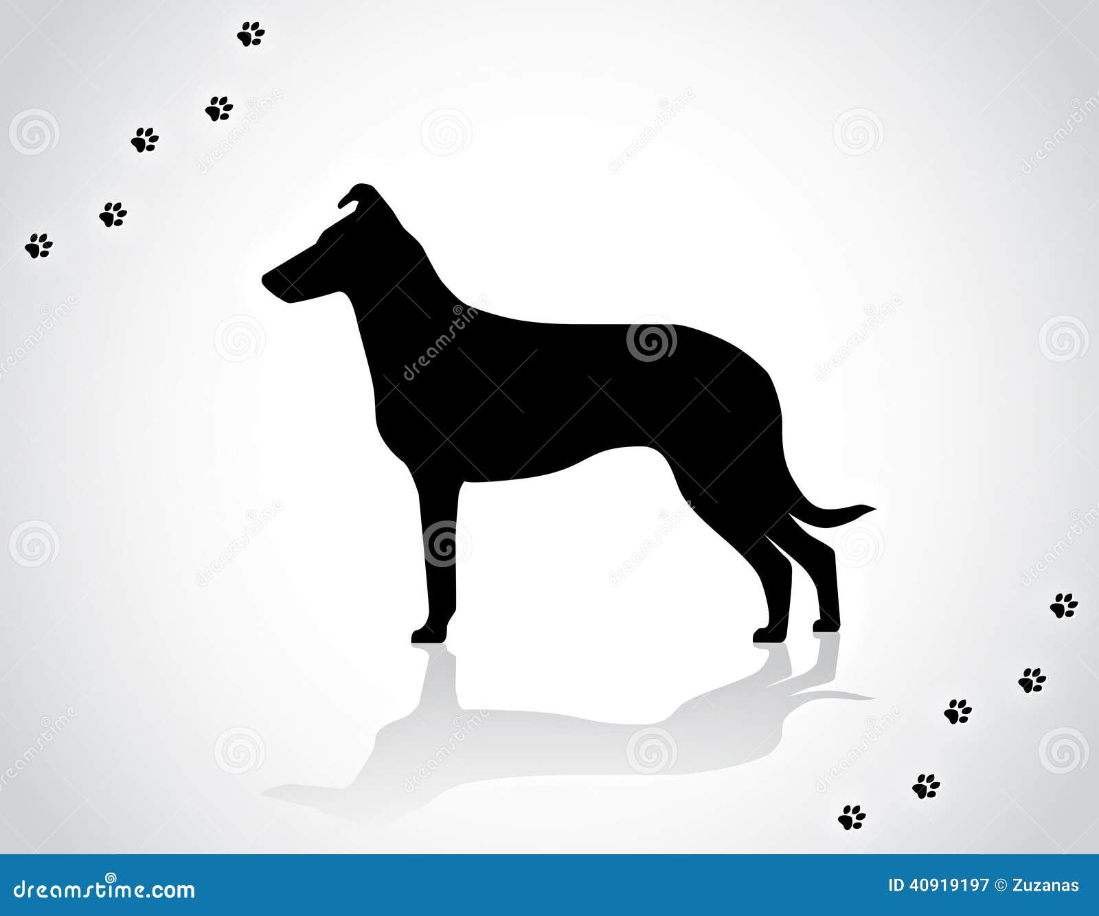 Smooth collie silhouette stock vector. Illustration of pose - 40919197