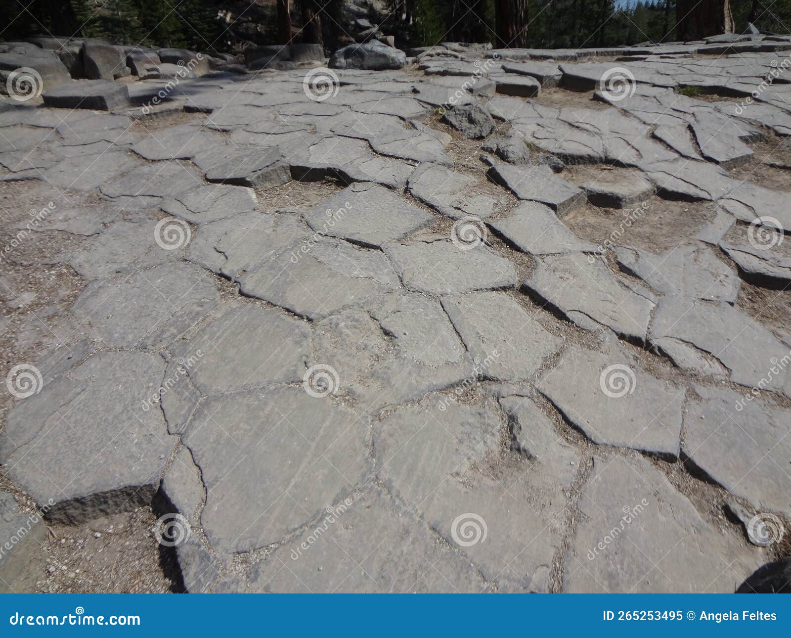 Smooth Columnar Basalt at Devil S Postpone National Monument Stock ...