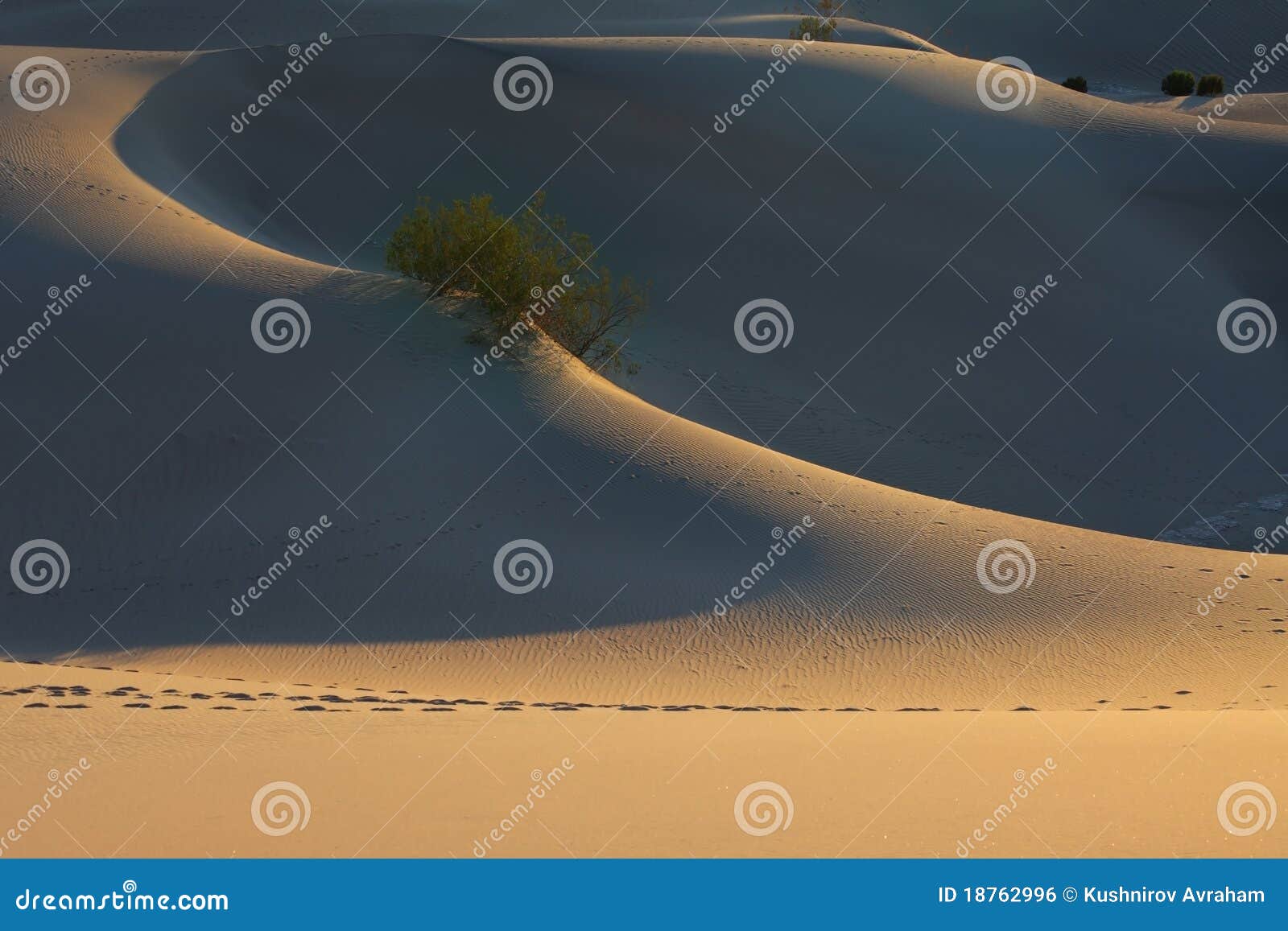 A Smooth Contours of Sand Dunes Stock Photo - Image of outdoors, summer ...