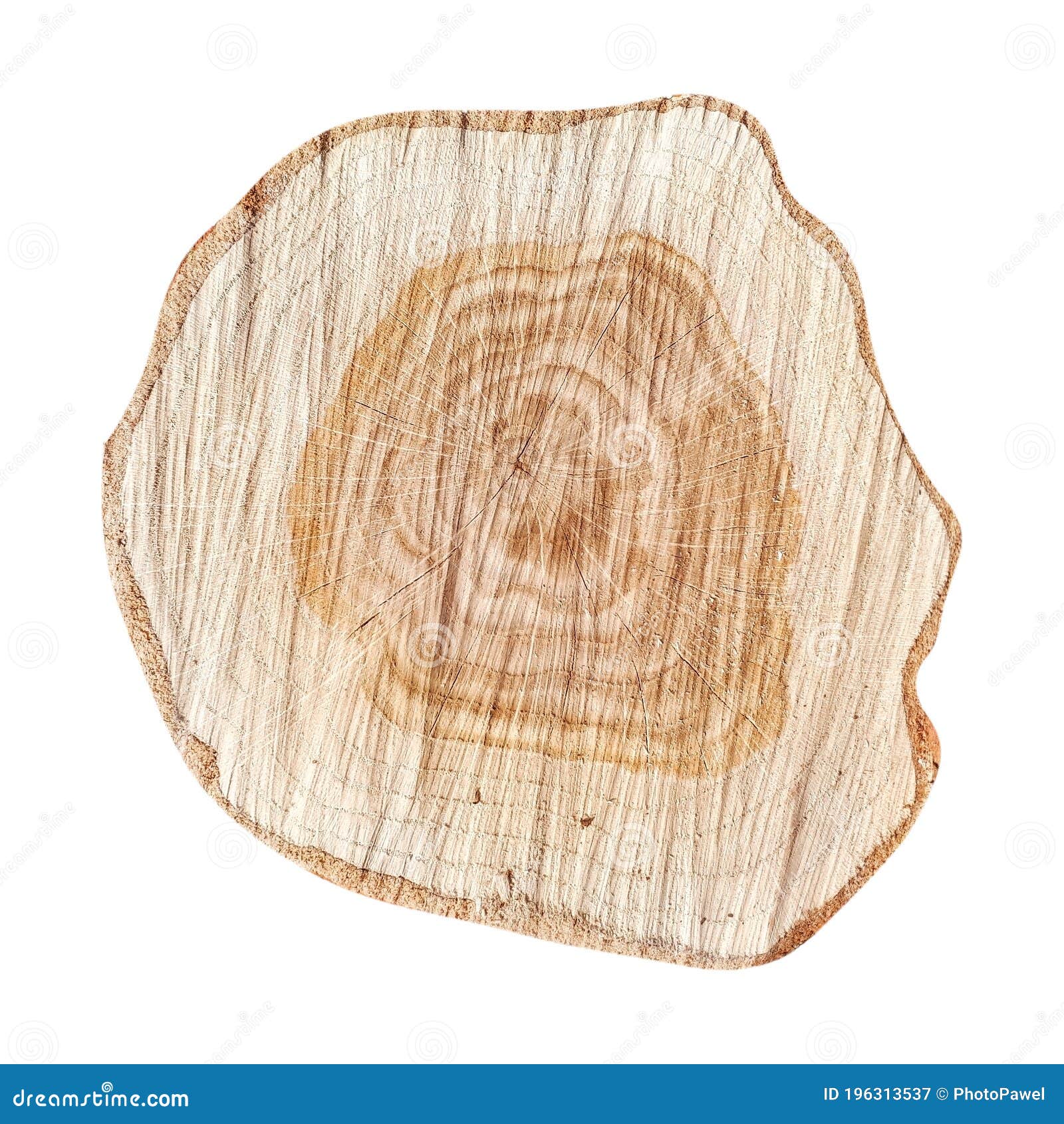 Smooth Cross Section Brown Tree Stump Slice With Age Rings. Shows Wood ...