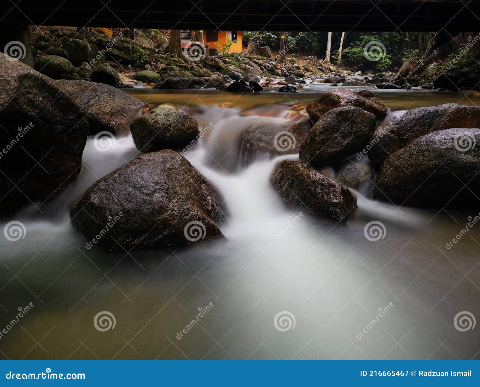 Smooth flowing stream stock image. Image of tree, reflection - 216665467