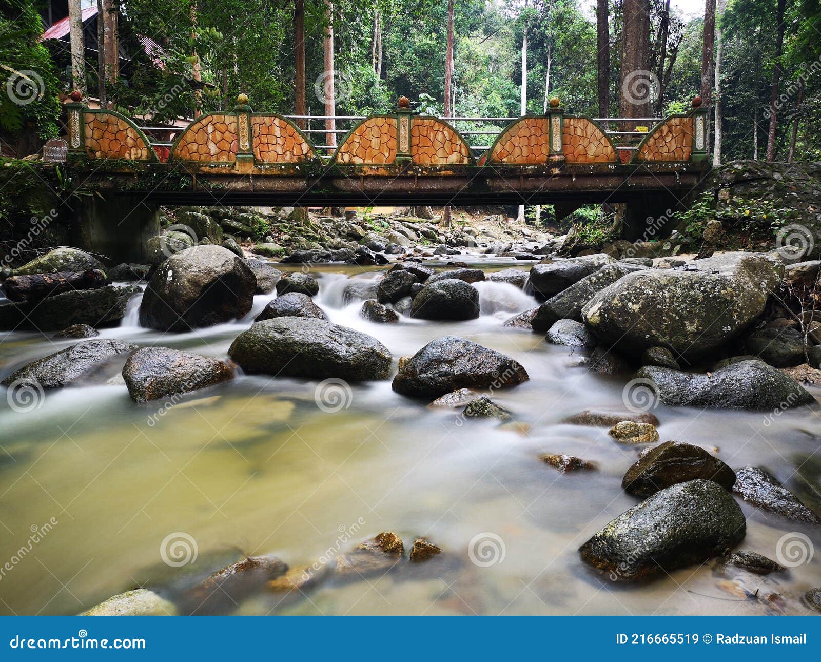 Smooth flowing stream stock image. Image of leaf, watercourse - 216665519