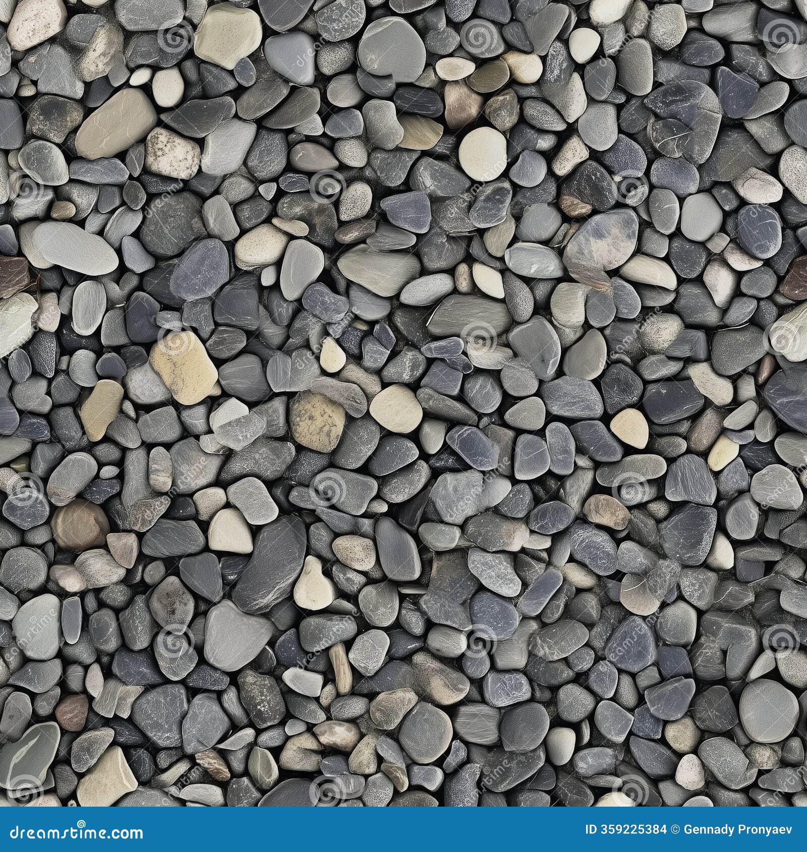 Smooth Gray River Stones Forming a Natural Pebble Texture Surface Stock ...