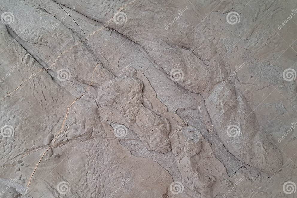 Smooth, Grayish Rock Surface with Subtle Ridges and a Few Visible ...