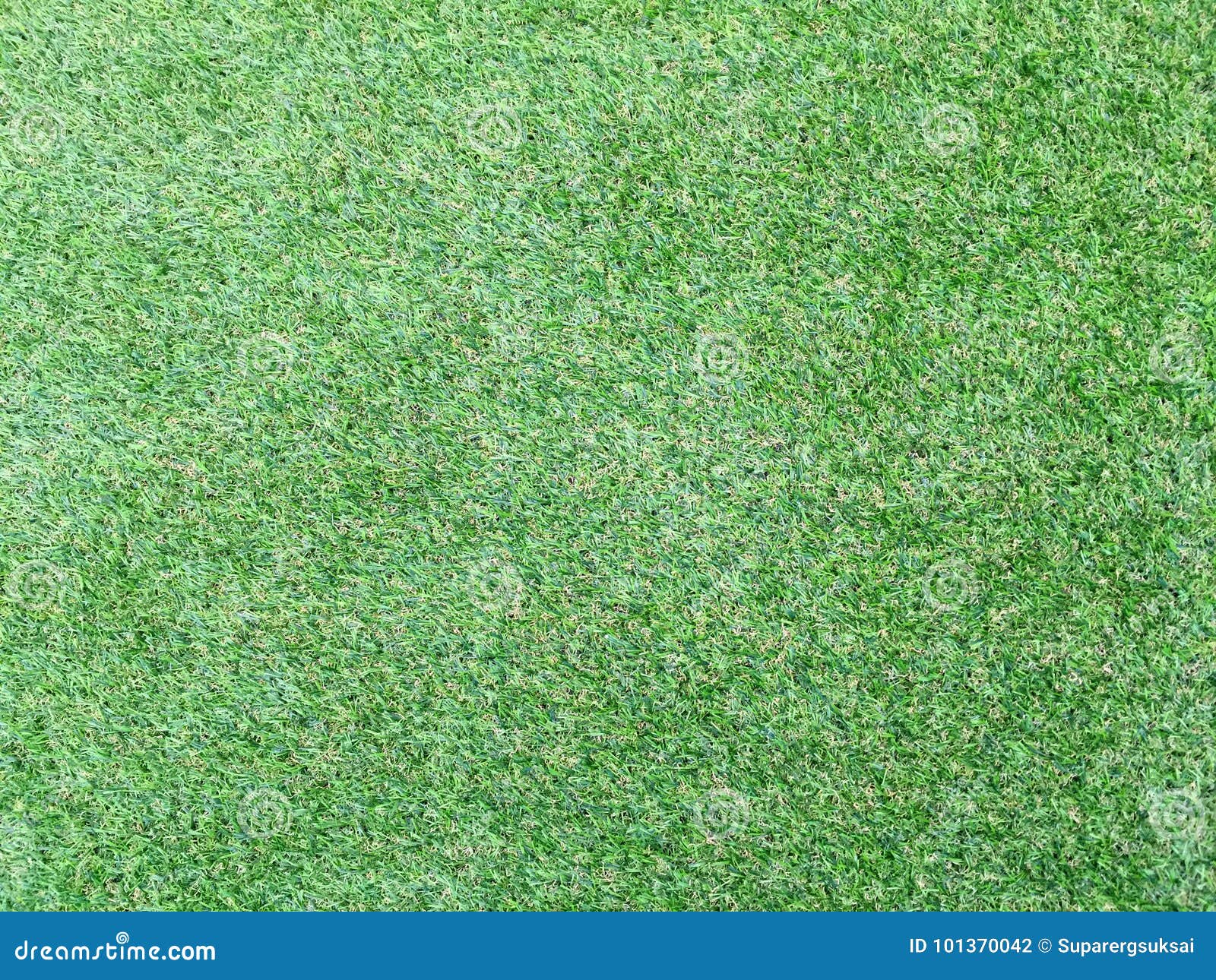 Smooth Green Grass stock photo. Image of lawn, grass - 101370042