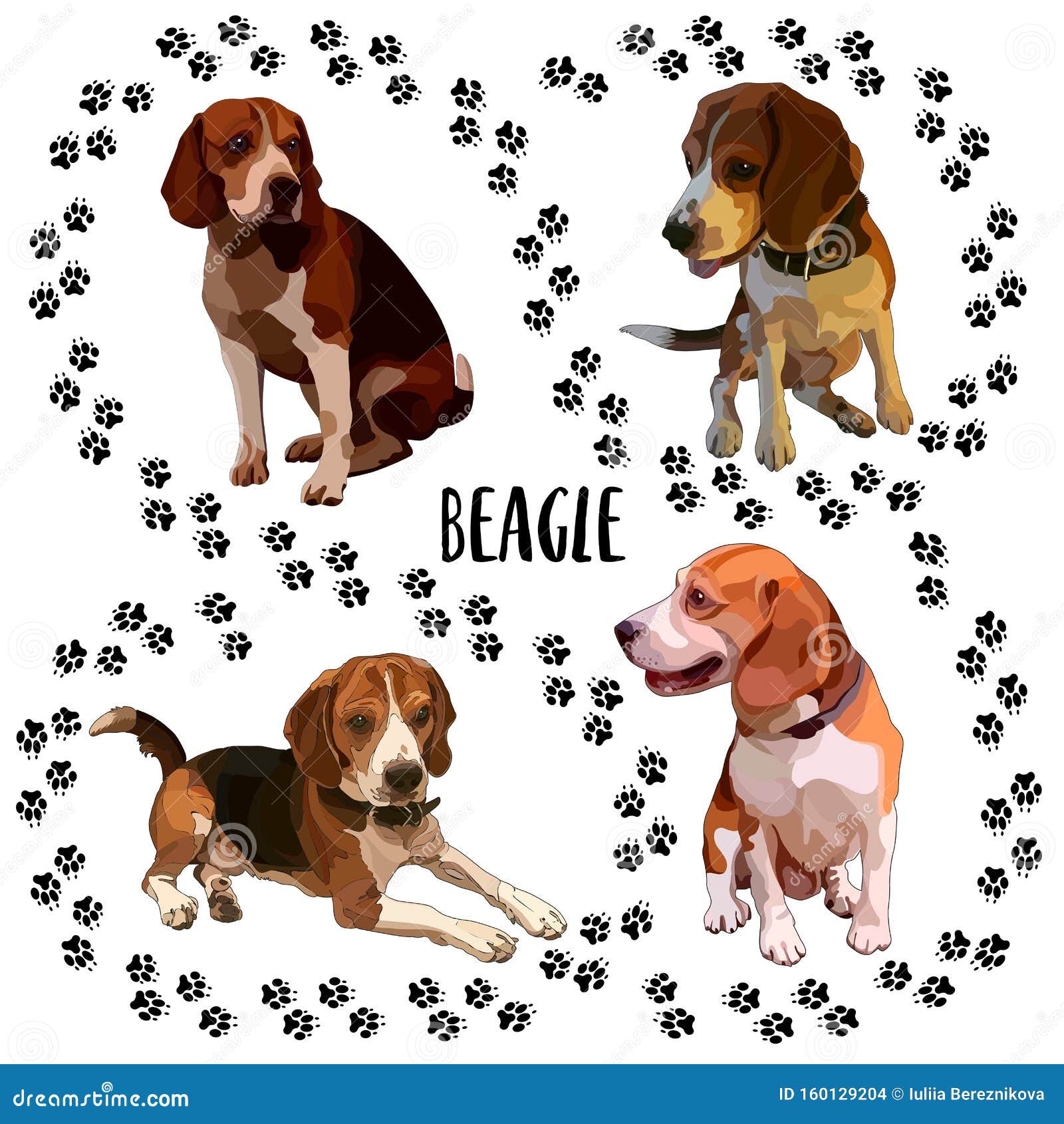 Background with beagles stock vector. Illustration of beagle - 160129204