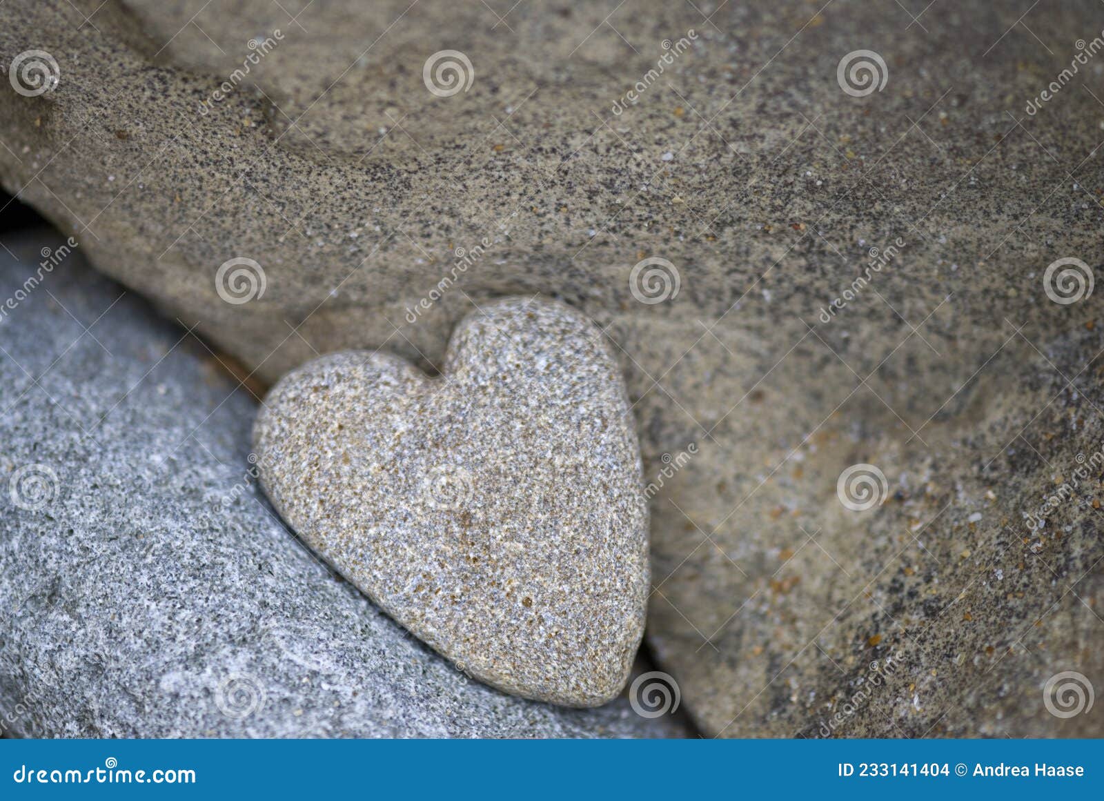 Single Heart Shaped Pebble on Rock Stock Photo - Image of emotion ...