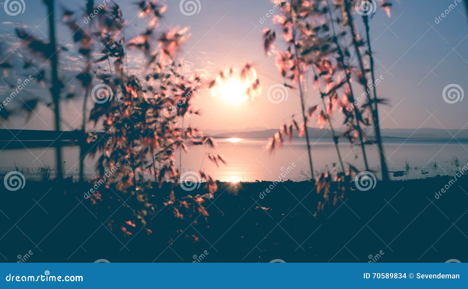 Smooth landscape of lake. stock photo. Image of park - 70589834