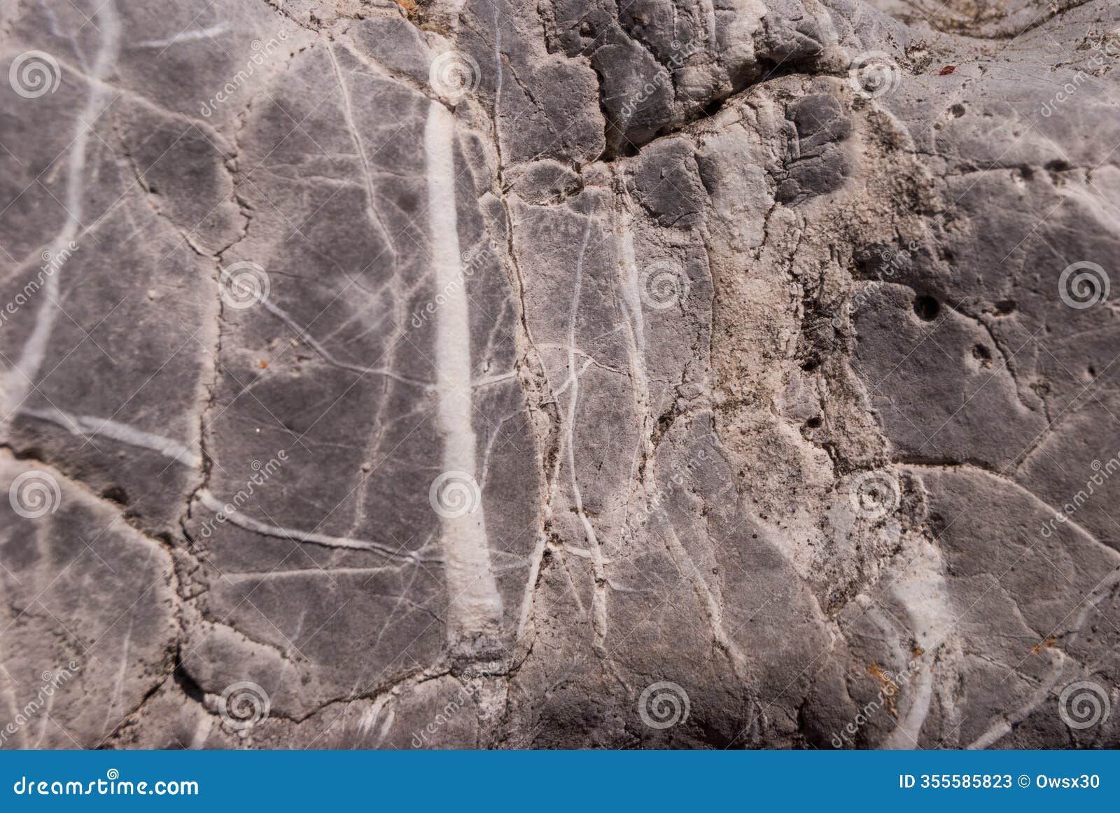 Smooth Natural Stone with Unique Light-veined Cracks Stock Image ...