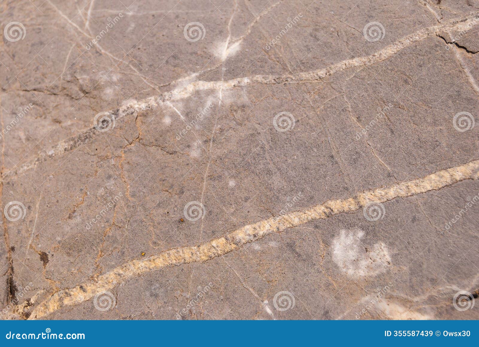 Smooth Natural Stone with Unique Light-veined Cracks Stock Image ...