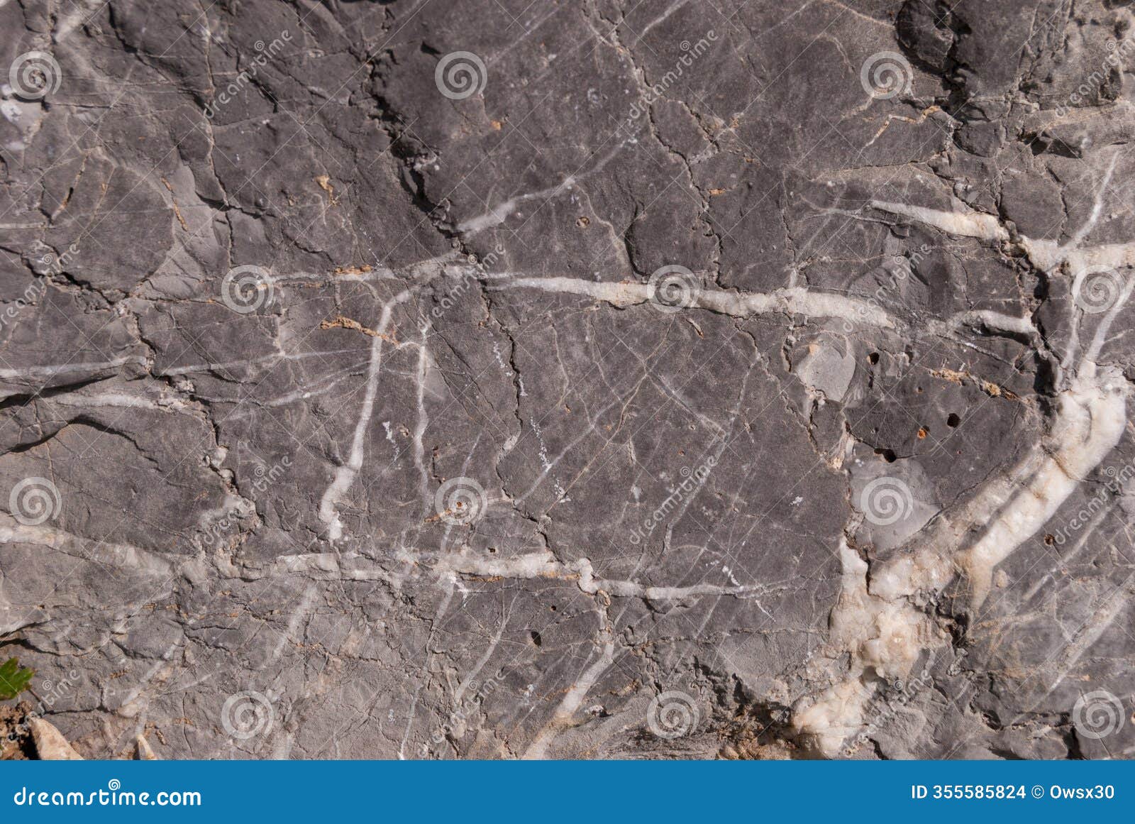 Smooth Natural Stone with Unique Surface Texture Stock Photo - Image of ...