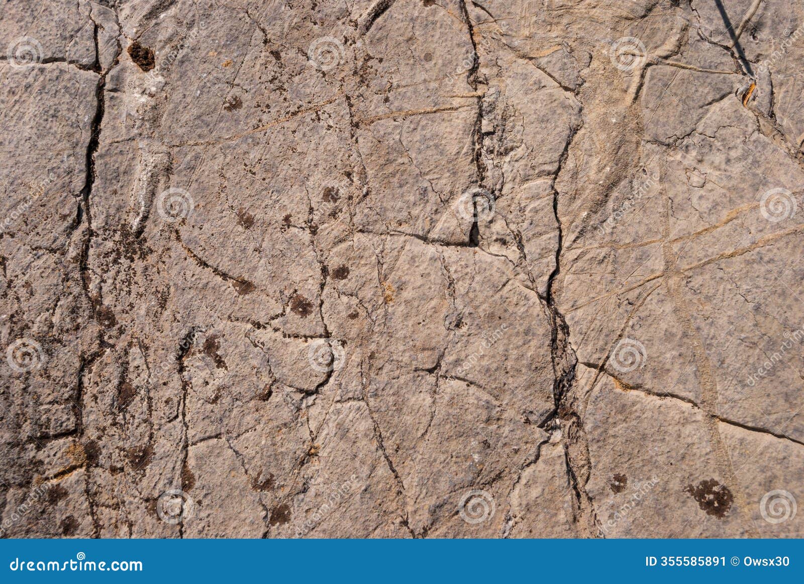 Smooth Natural Stone with Unique Surface Texture Stock Image - Image of ...