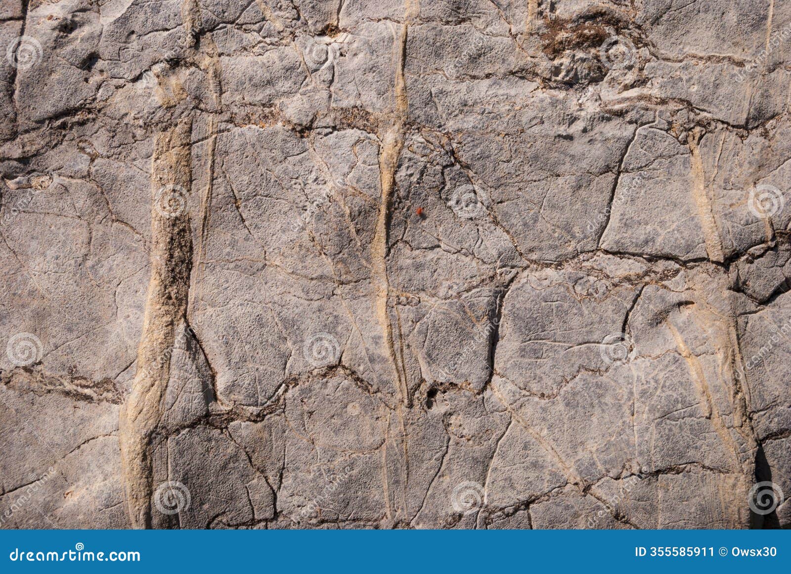 Smooth Natural Stone with Unique Surface Texture Stock Image - Image of ...