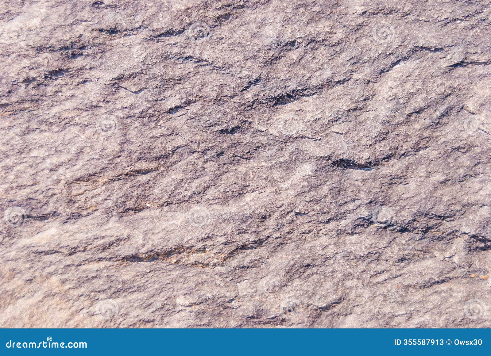 Smooth Natural Stone with Unique Surface Texture Stock Image - Image of ...