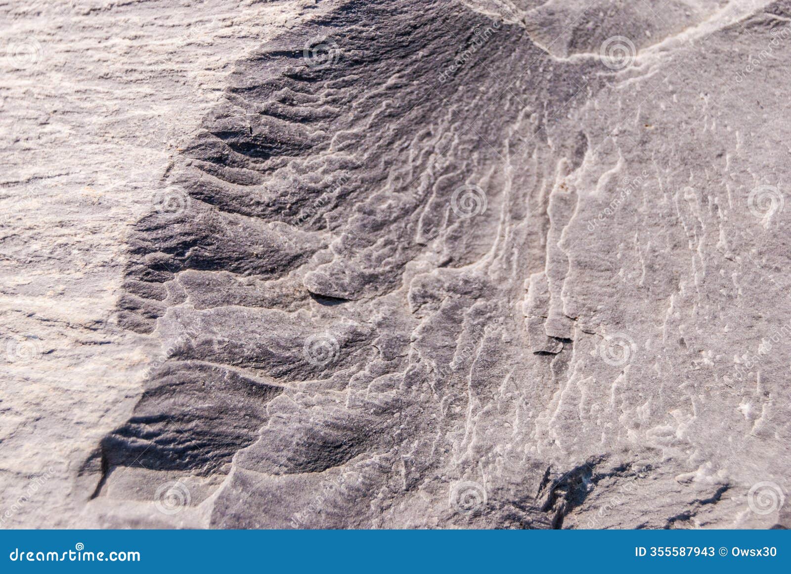 Smooth Natural Stone with Unique Surface Texture Stock Image - Image of ...