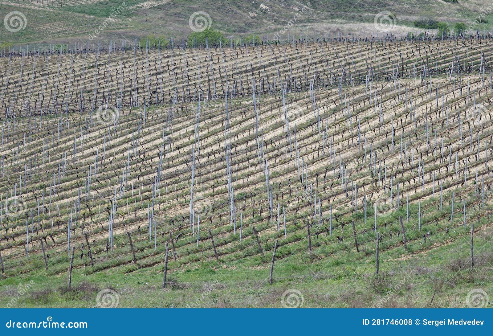 Numerous Numbers On Dark Background, A Visual Representation Of ... Numerous Numbers On Dark Background, A Visual Representation Of ...