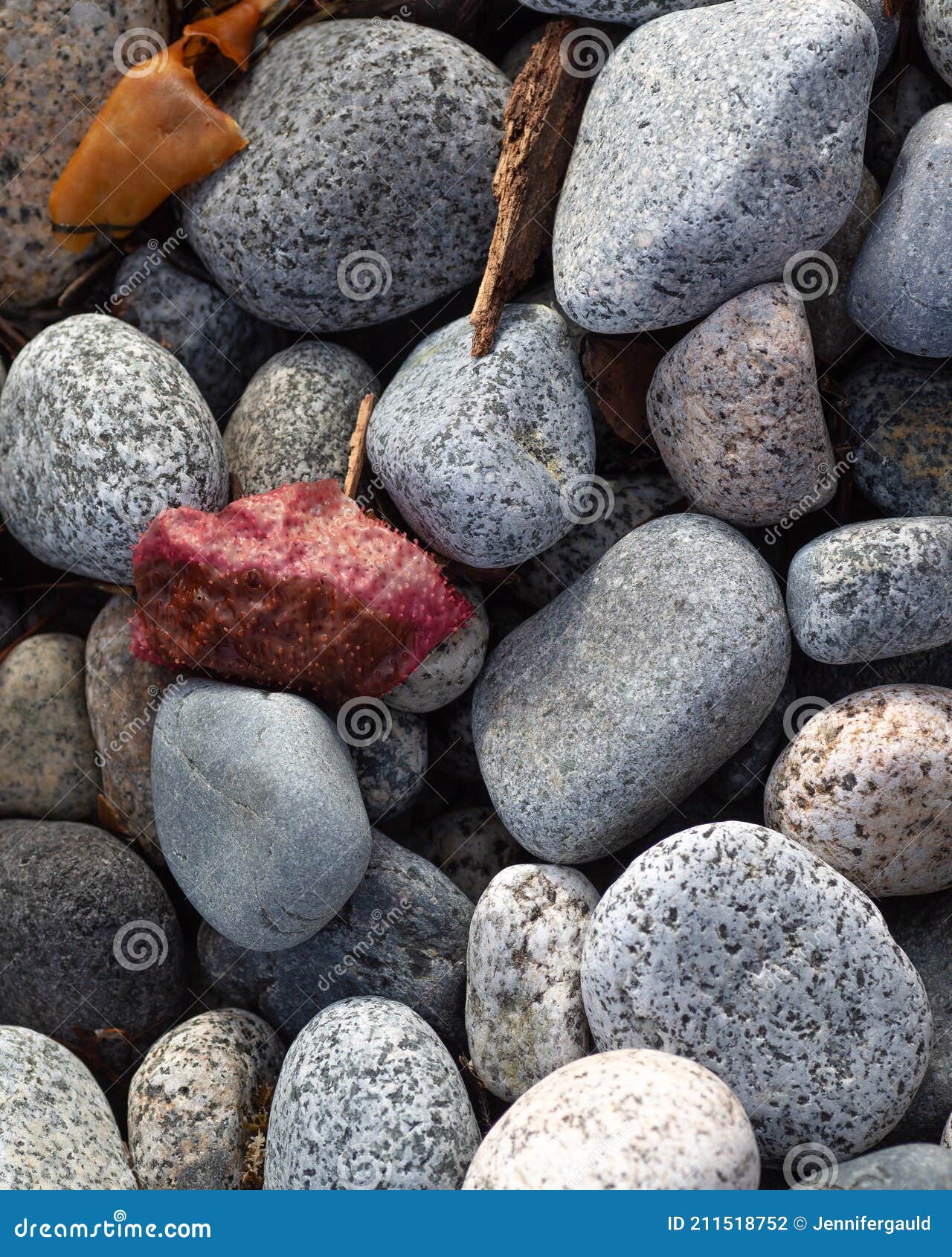 Smooth ocean rocks stock photo. Image of river, coast - 211518752