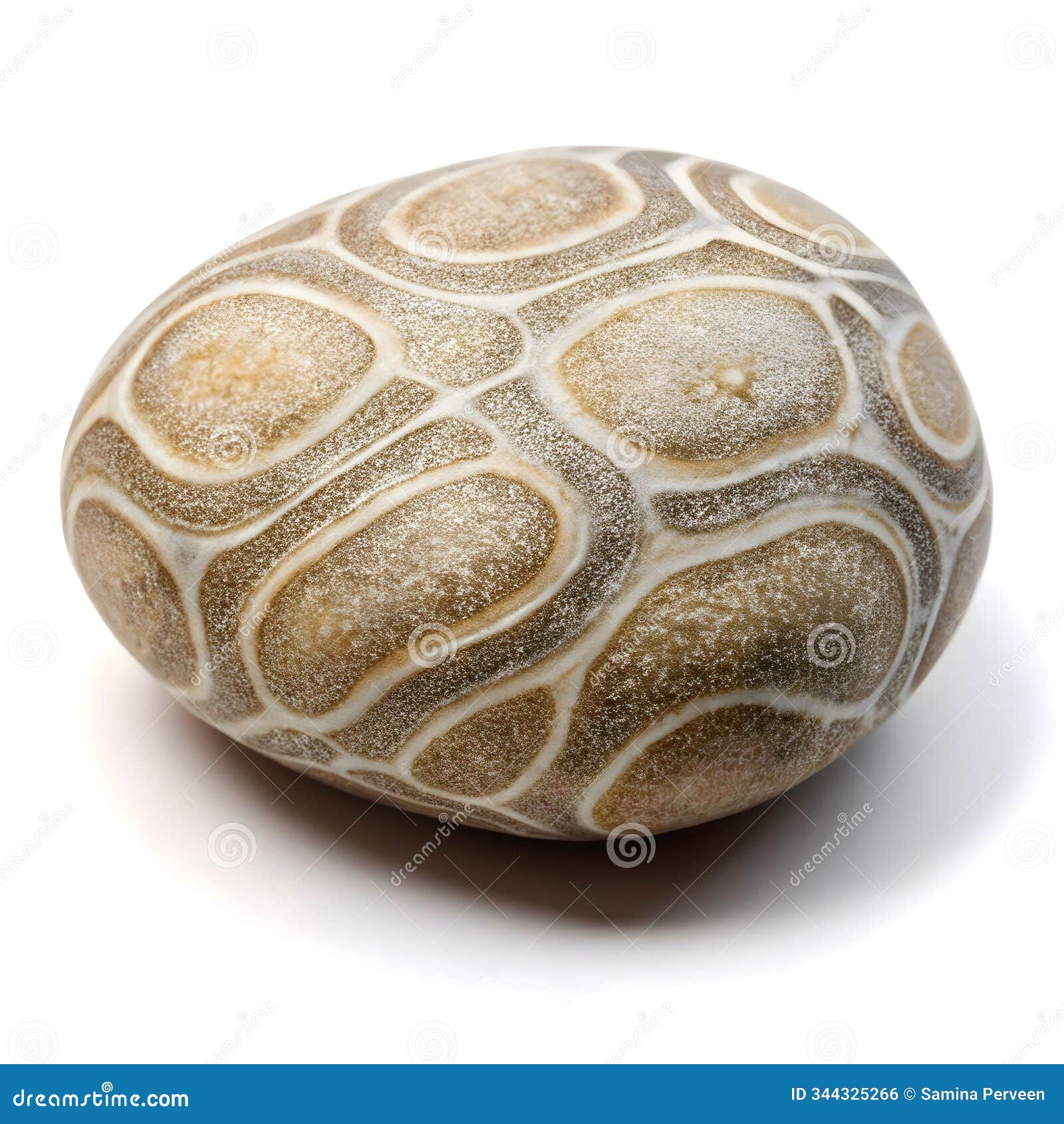 A Smooth Pebble with Interesting Patterns, Displayed Stock Illustration ...