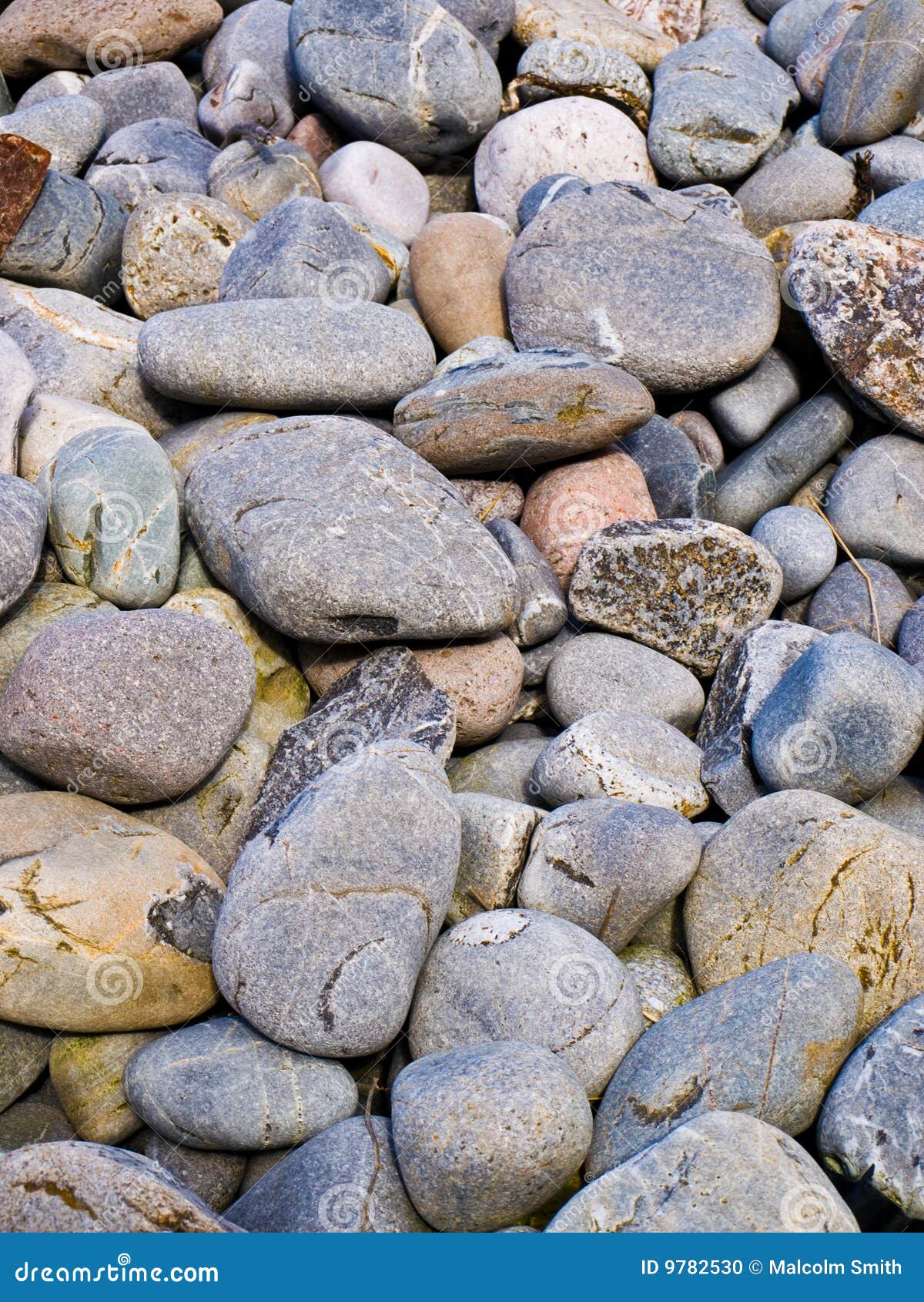 Smooth pebbles stock photo. Image of texture, geology - 9782530