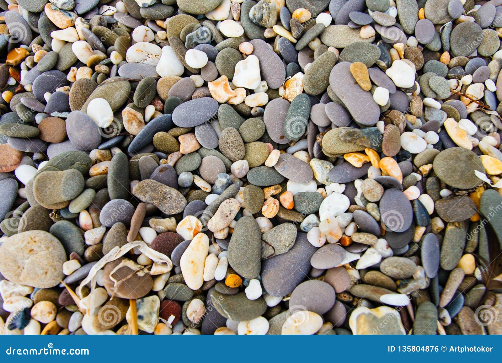 Smooth Pebbles Lying on Seashore Close Up. Stone Texture Stock Photo ...