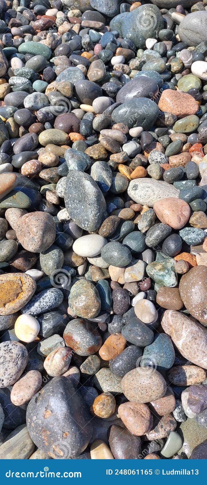 Smooth Pebbles on the Seashore Stock Image - Image of pebbles, gravel ...