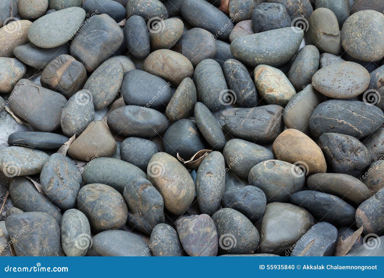 Smooth polished stones stock photo. Image of river, geology - 55935840