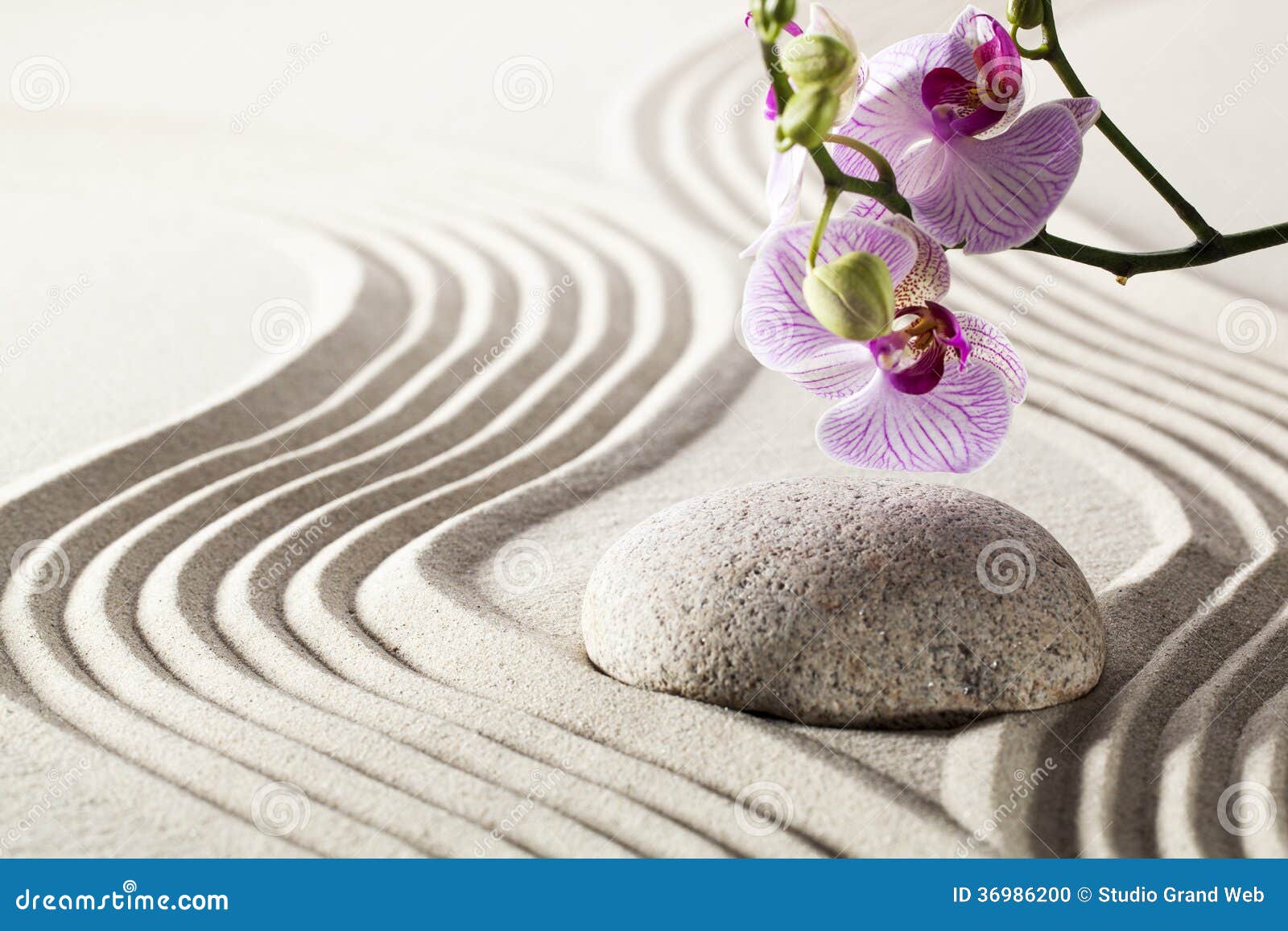 Smooth Progression with Suppleness and Flexibility Stock Photo - Image ...