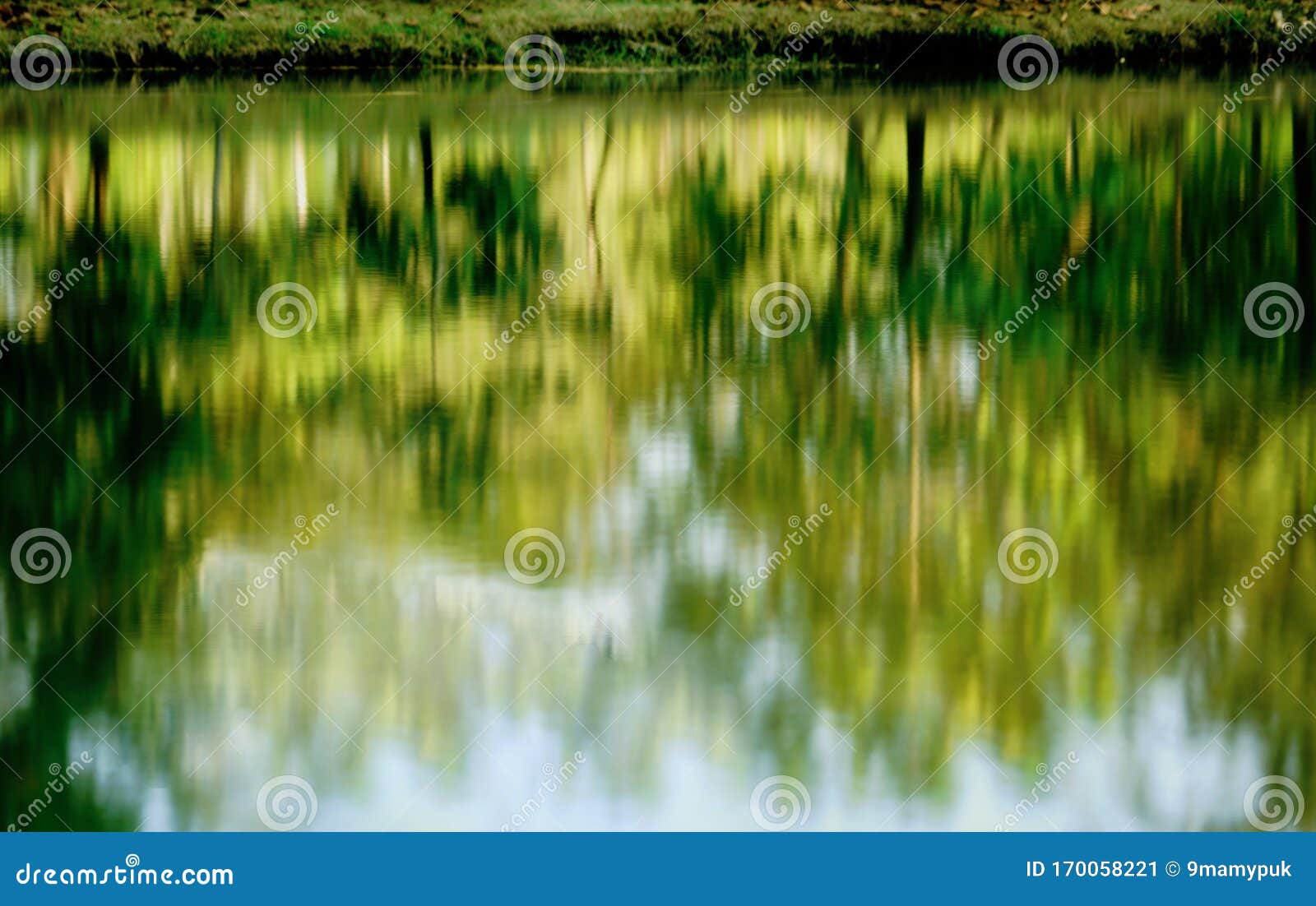 Smooth Reflection Mirror Surface of Tree in Water. Stock Image - Image ...