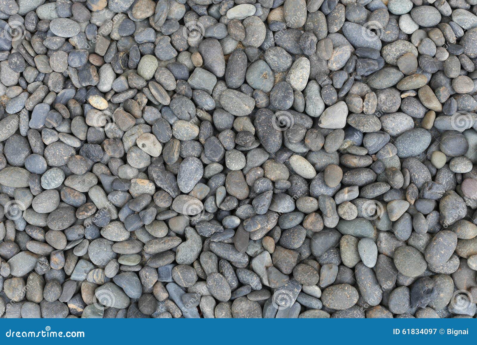 River Pebble Wall Tile Background Natural Texture Cross-section Cut ...