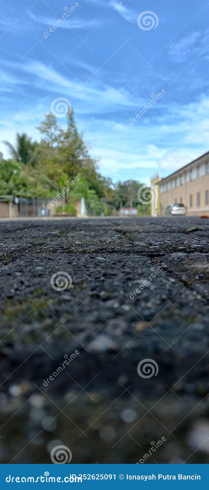 Smooth road indonesia stock image. Image of branch, jungle - 252625091