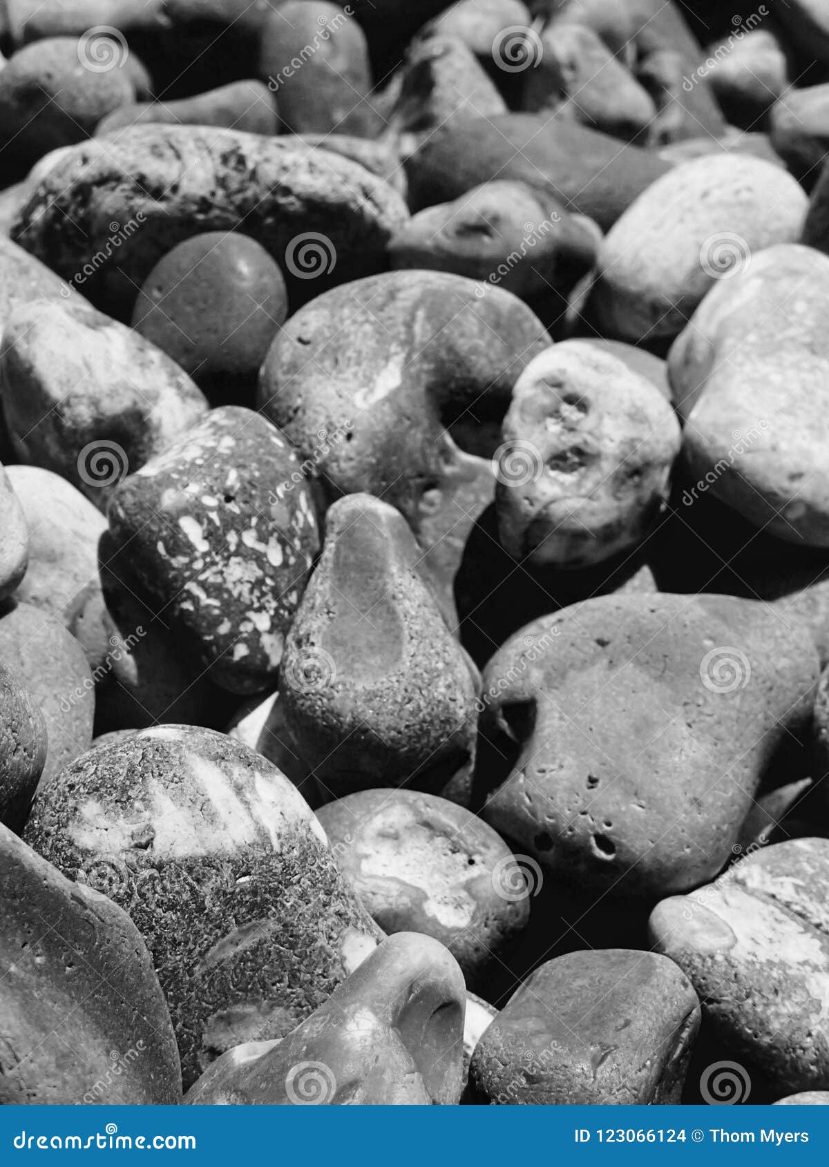 Smooth rocks stock photo. Image of summer, smooth, texture - 123066124