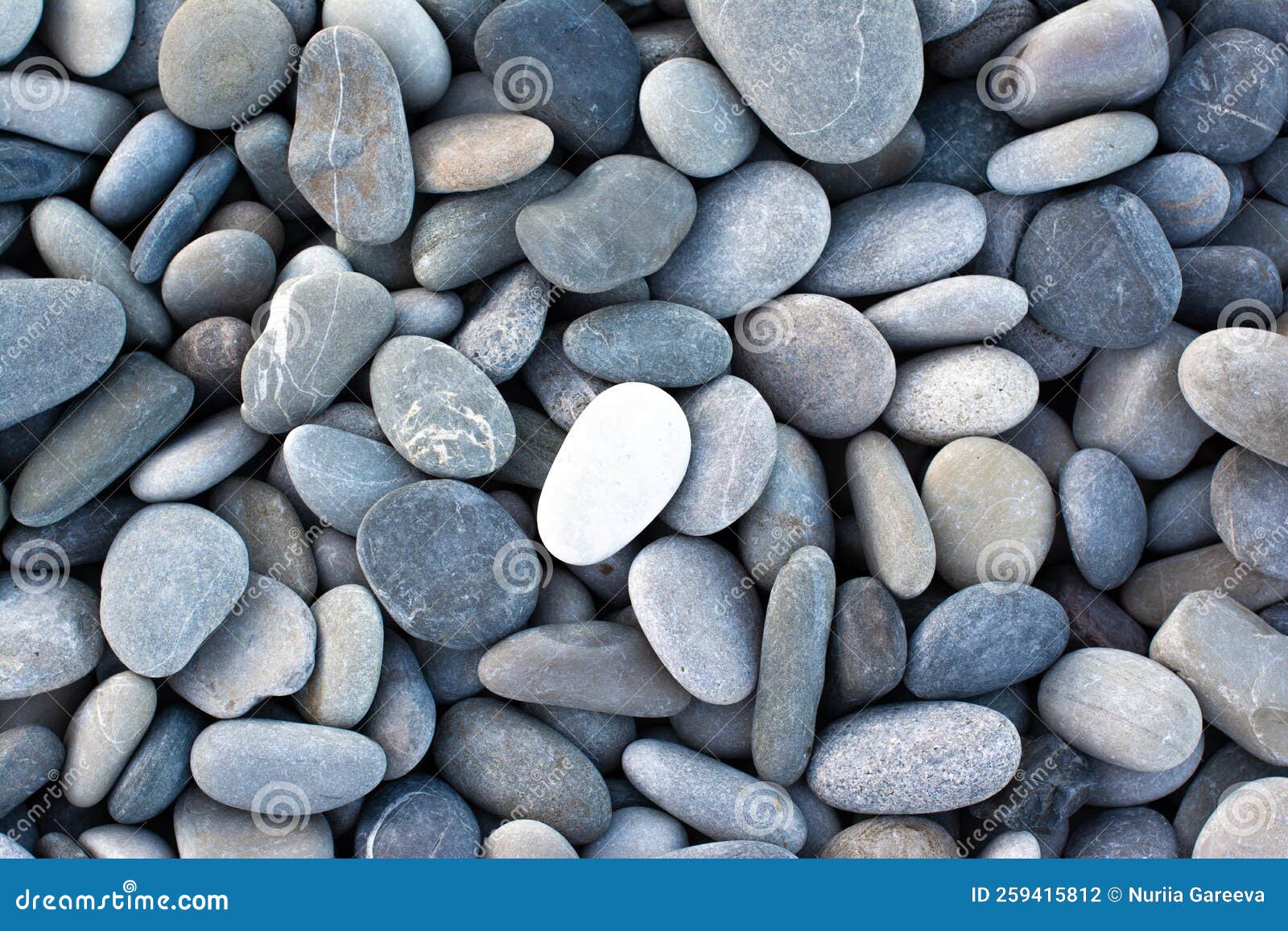 Smooth Round Pebbles Sea Texture Background. Summer Day Stock Photo ...