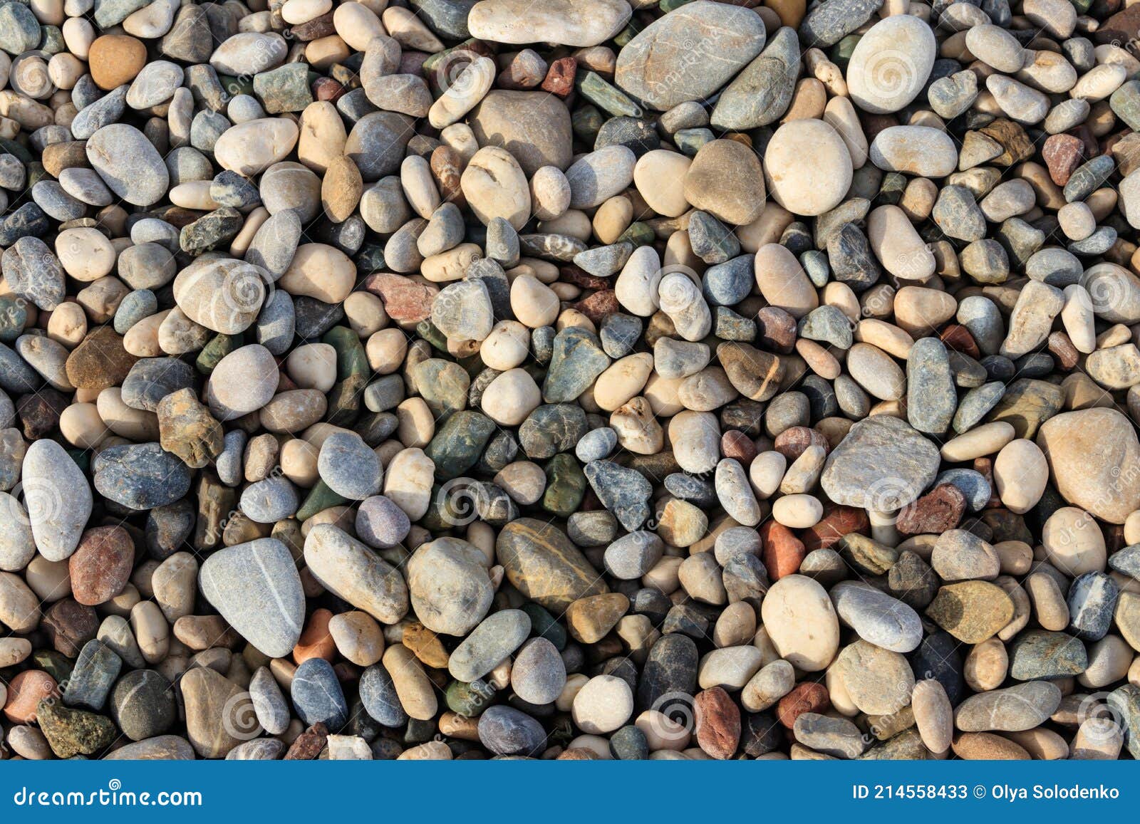 Smooth Round Pebbles Texture Background. Pebble Sea Beach Stock Image ...