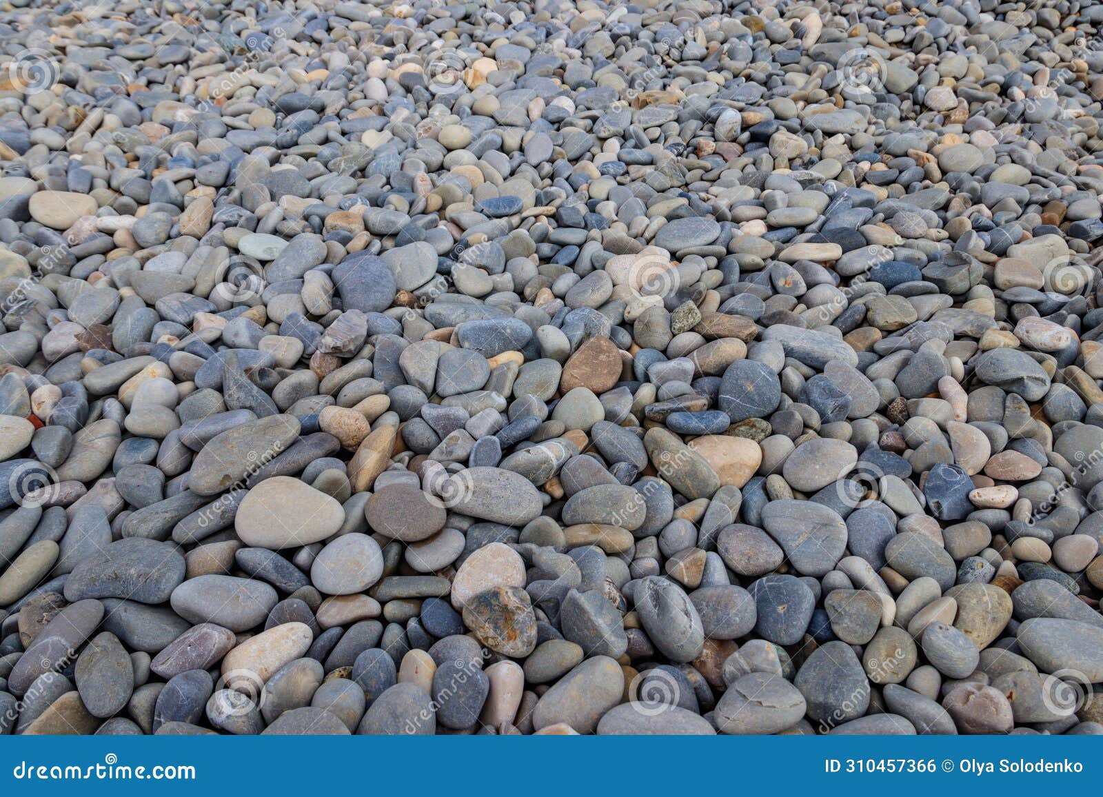 Smooth Round Pebbles Texture Background. Pebble Sea Beach Stock Photo ...